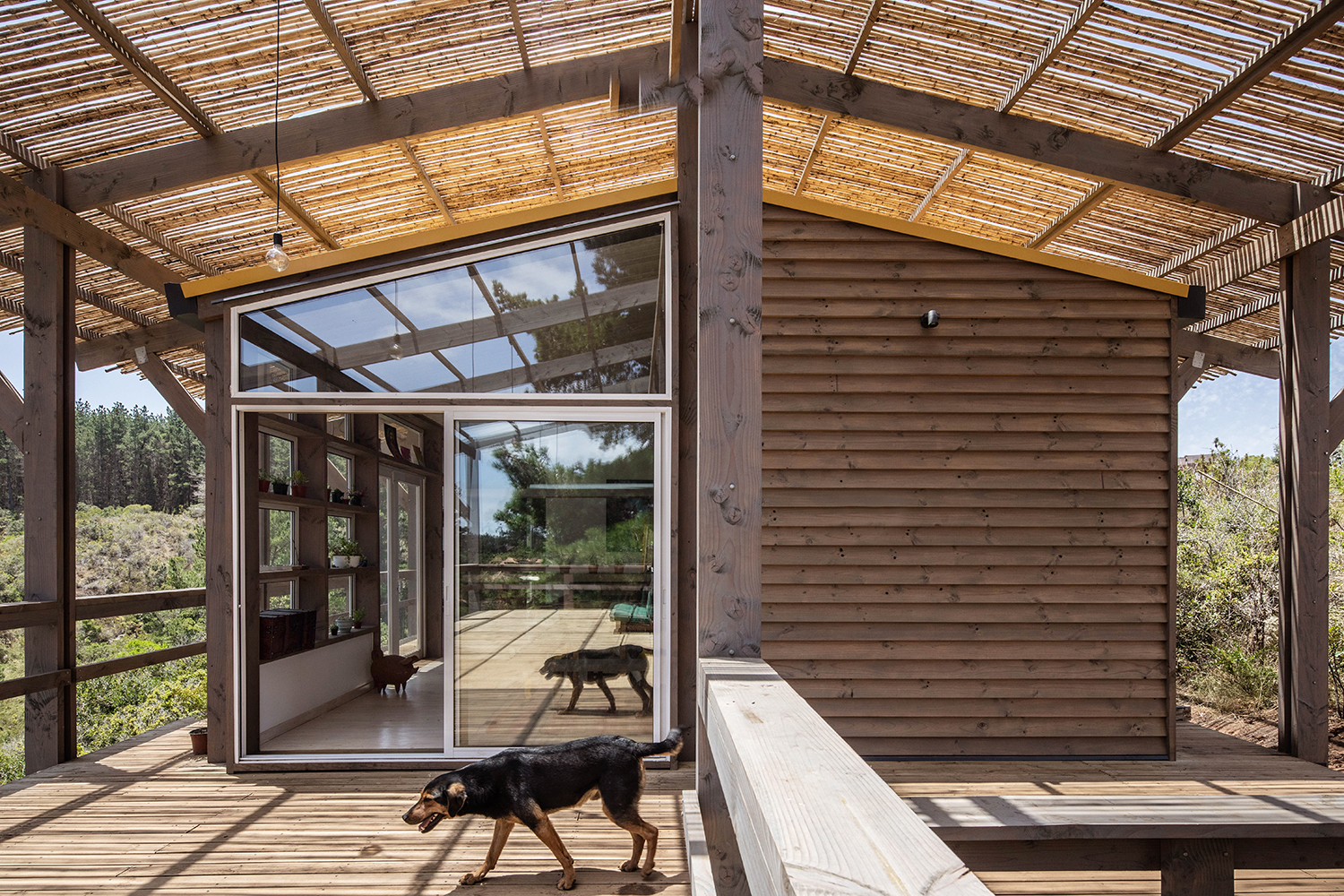 Galeria de Deck de madera en Casa Entreluz - 4