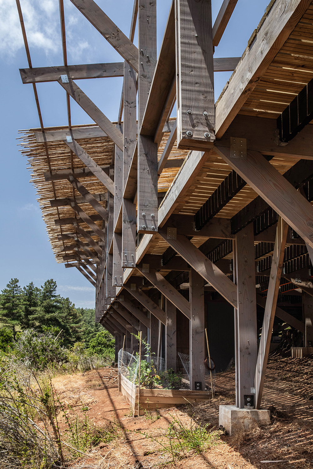 Galeria de Deck de madera en Casa Entreluz - 15
