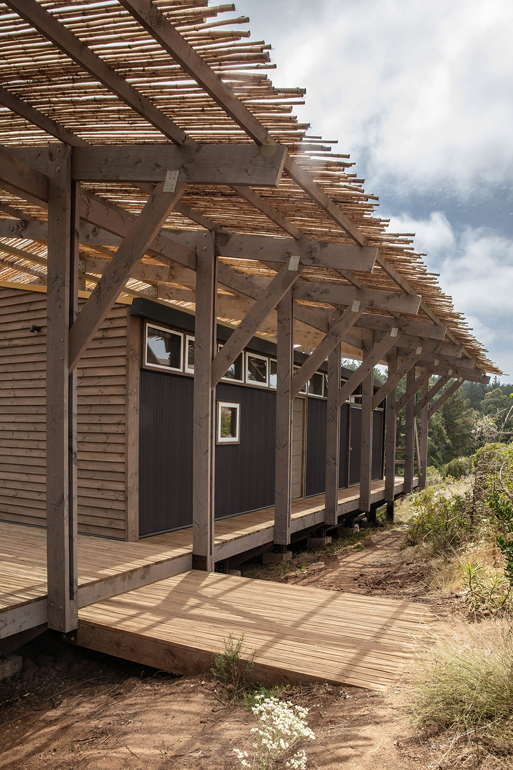 Galeria de Deck de madera en Casa Entreluz - 13