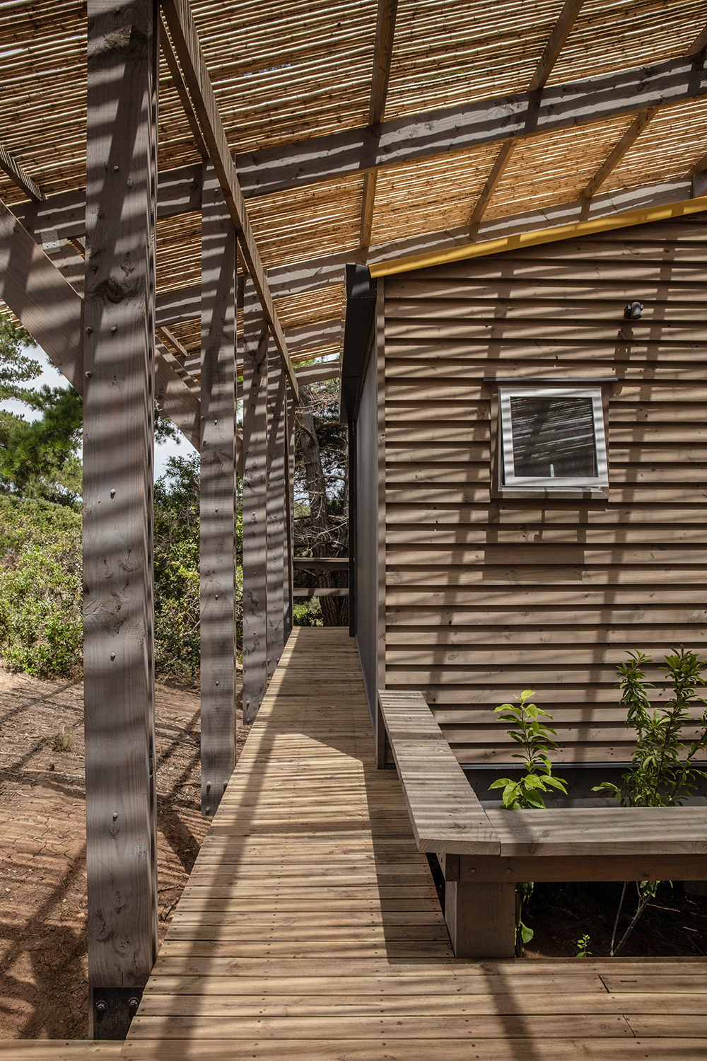 Galeria de Deck de madera en Casa Entreluz - 9