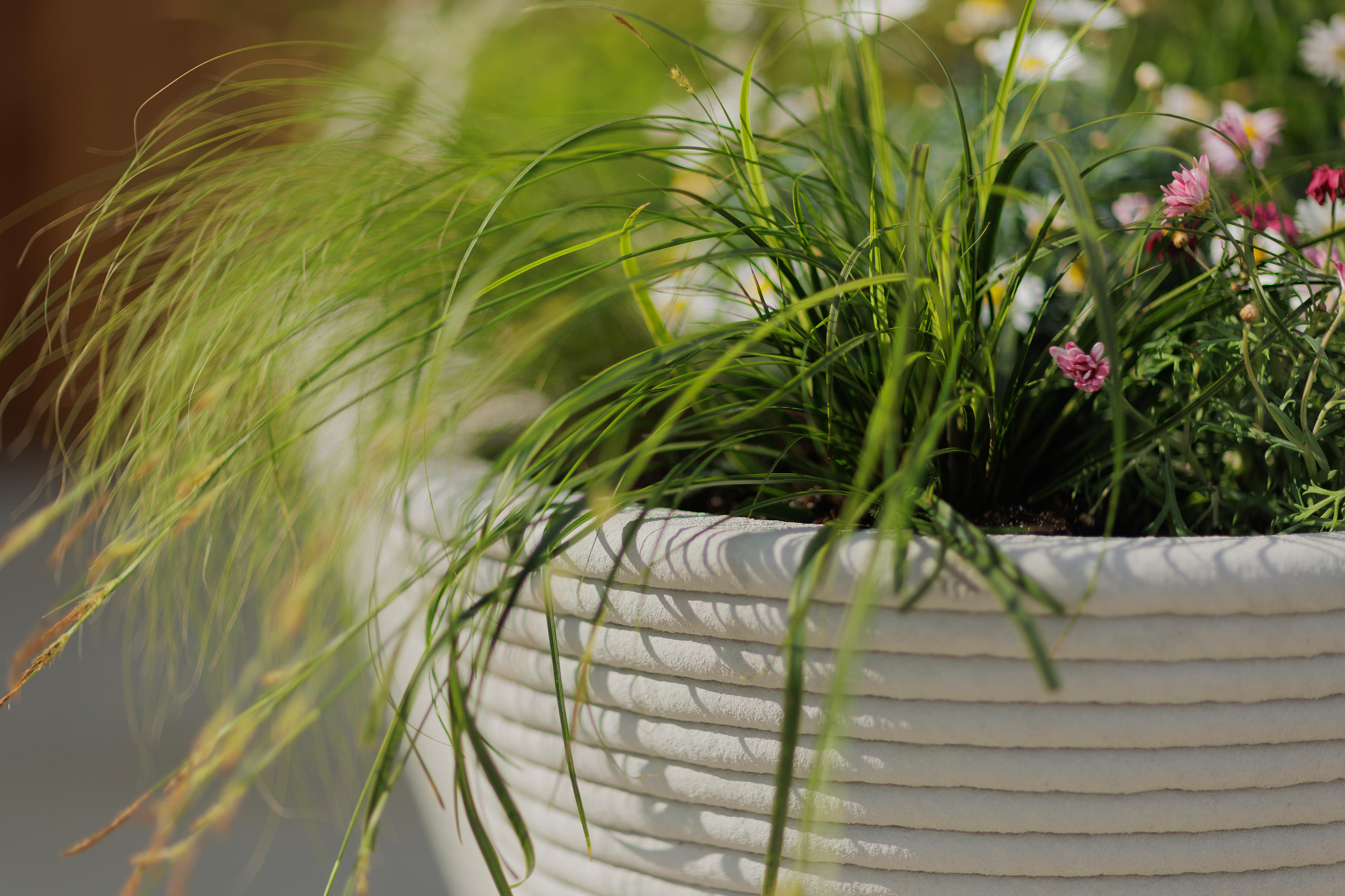 Gallery of Planter - Typo - 6