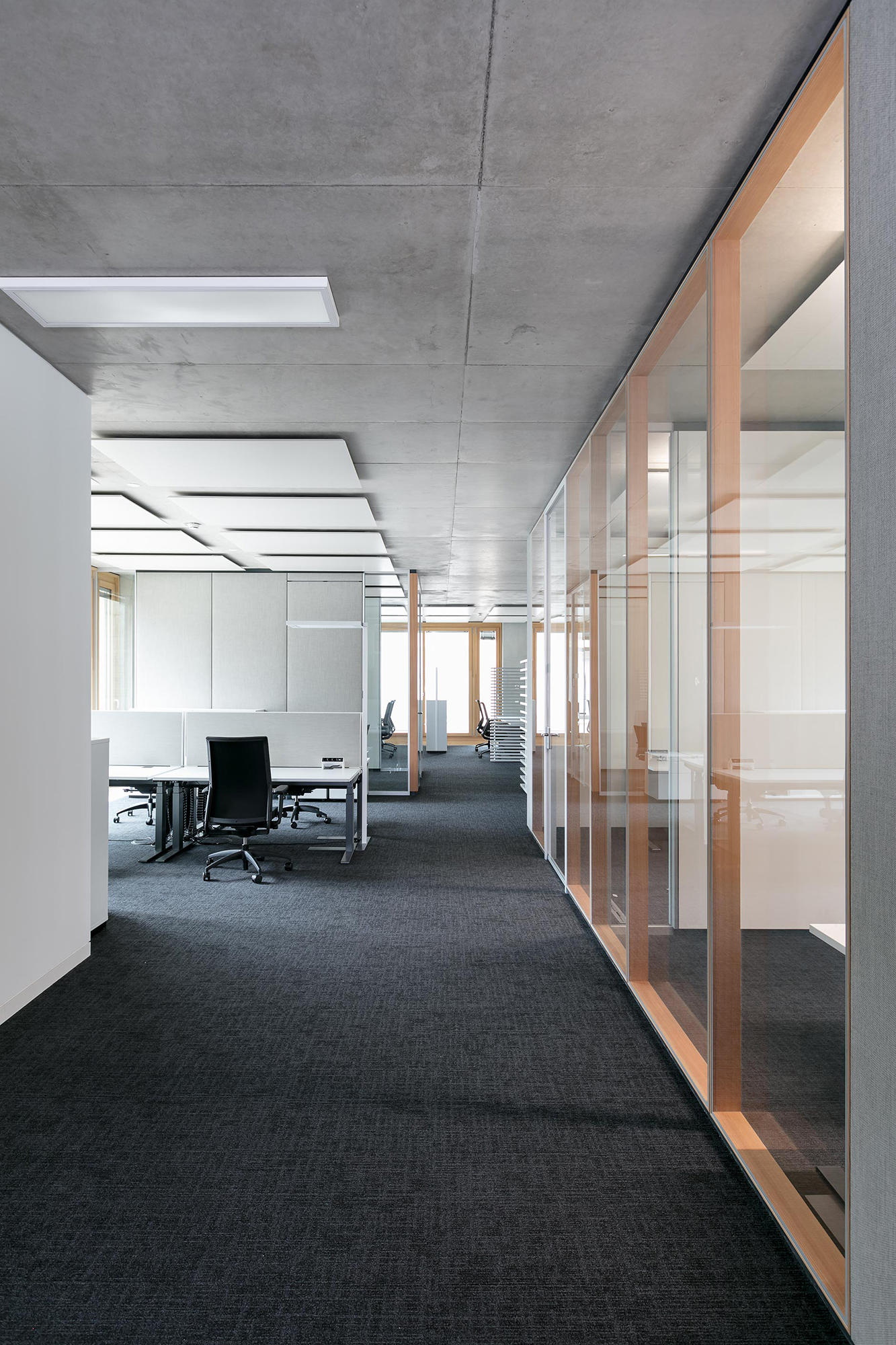 Gallery of Wall Partition System in W&W Campus - 9