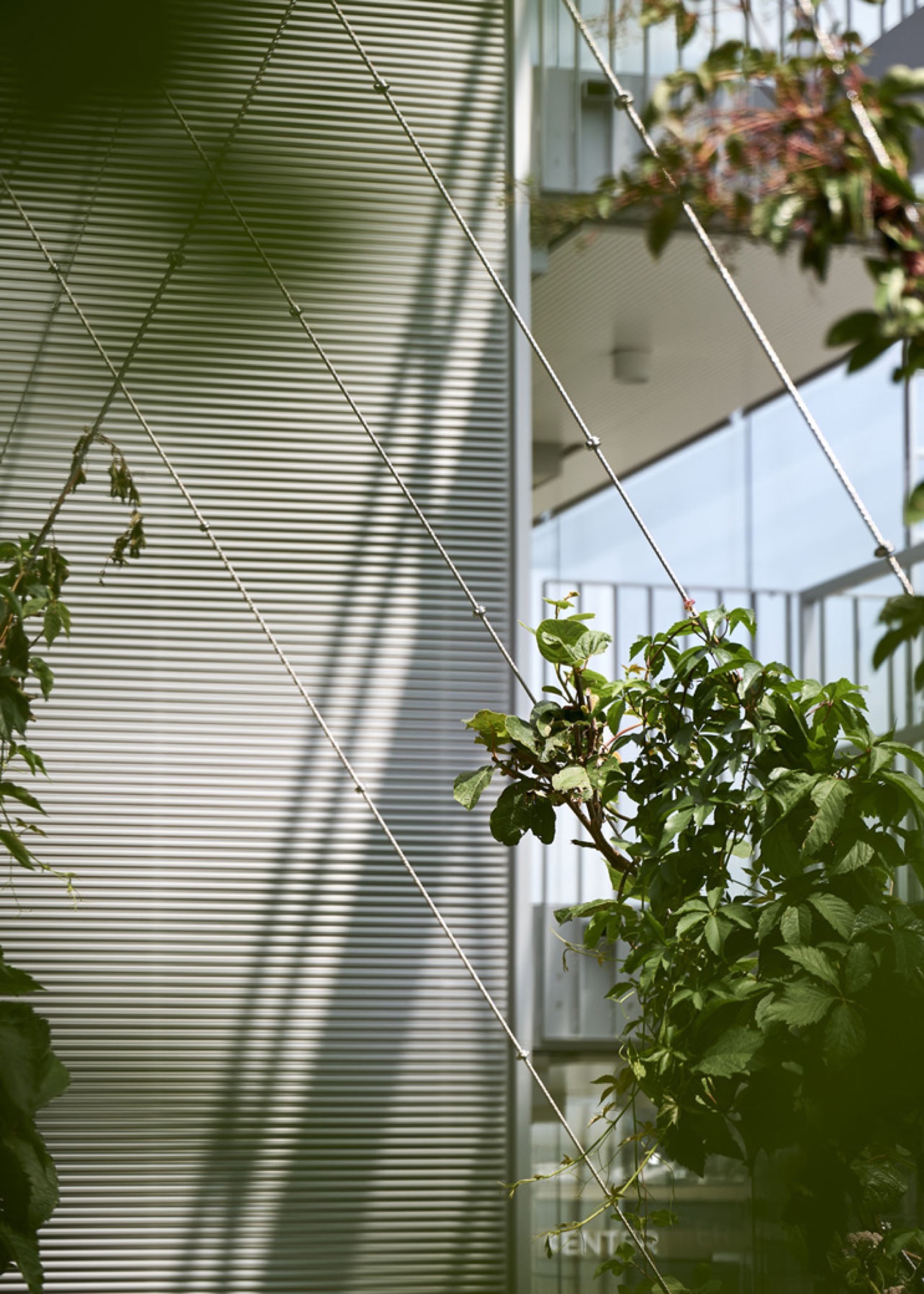 Gallery of Webnet System for Green Courtyards - 1