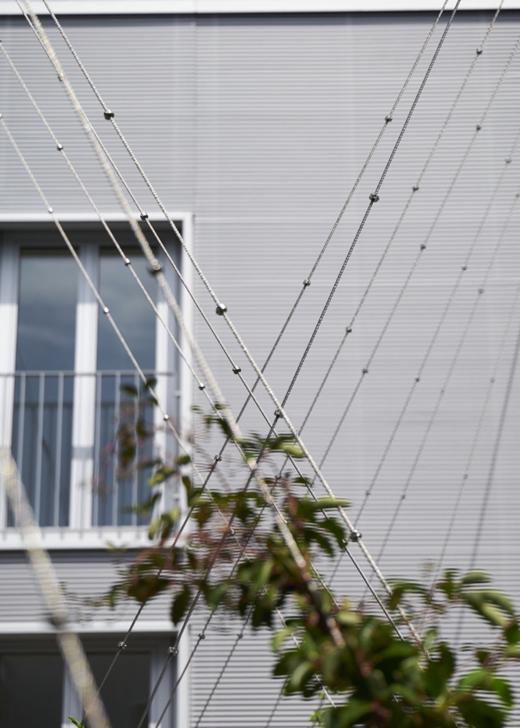 Gallery of Webnet System for Green Courtyards - 14