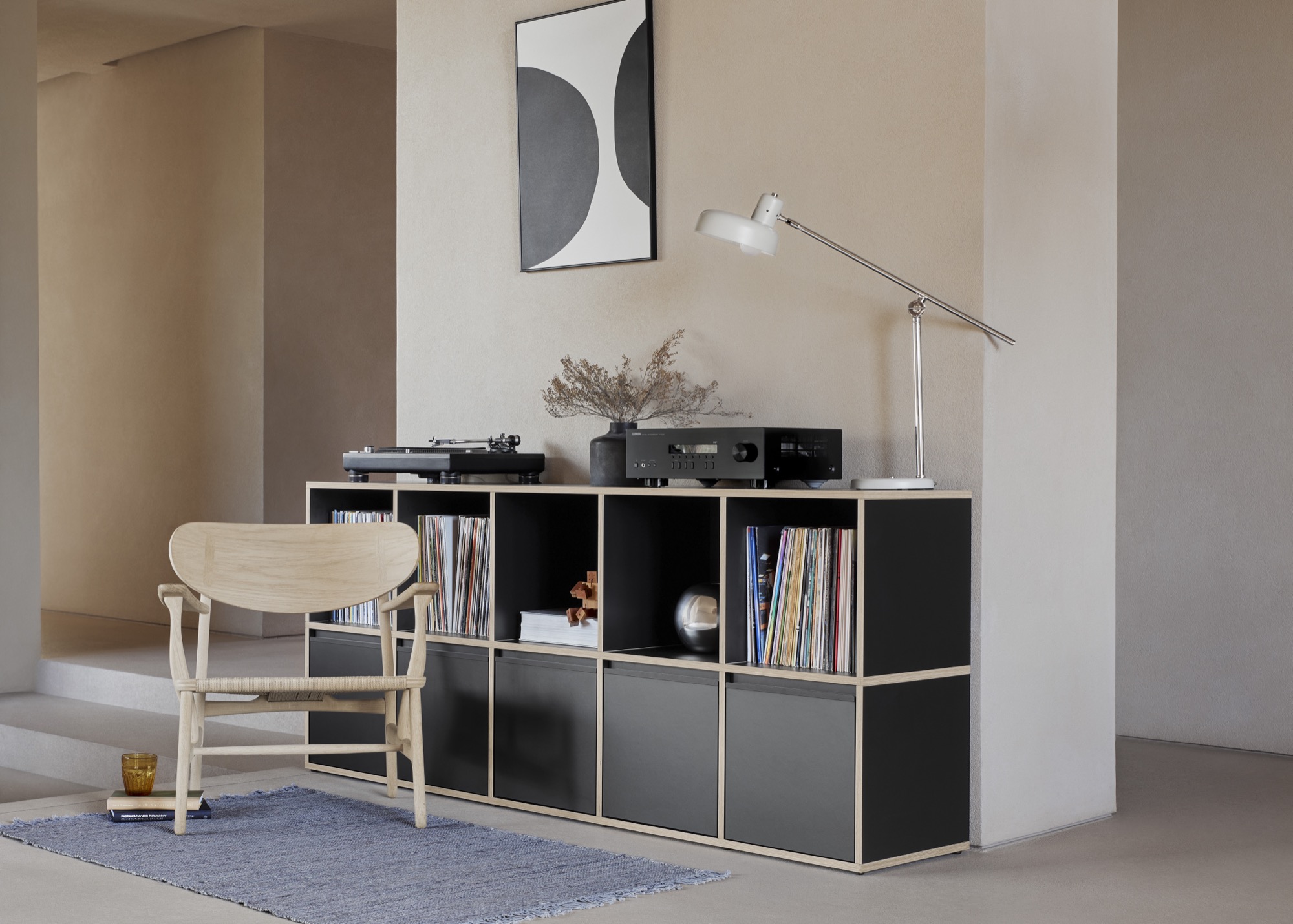 Gallery of Customizable Vinyl Storage - 2