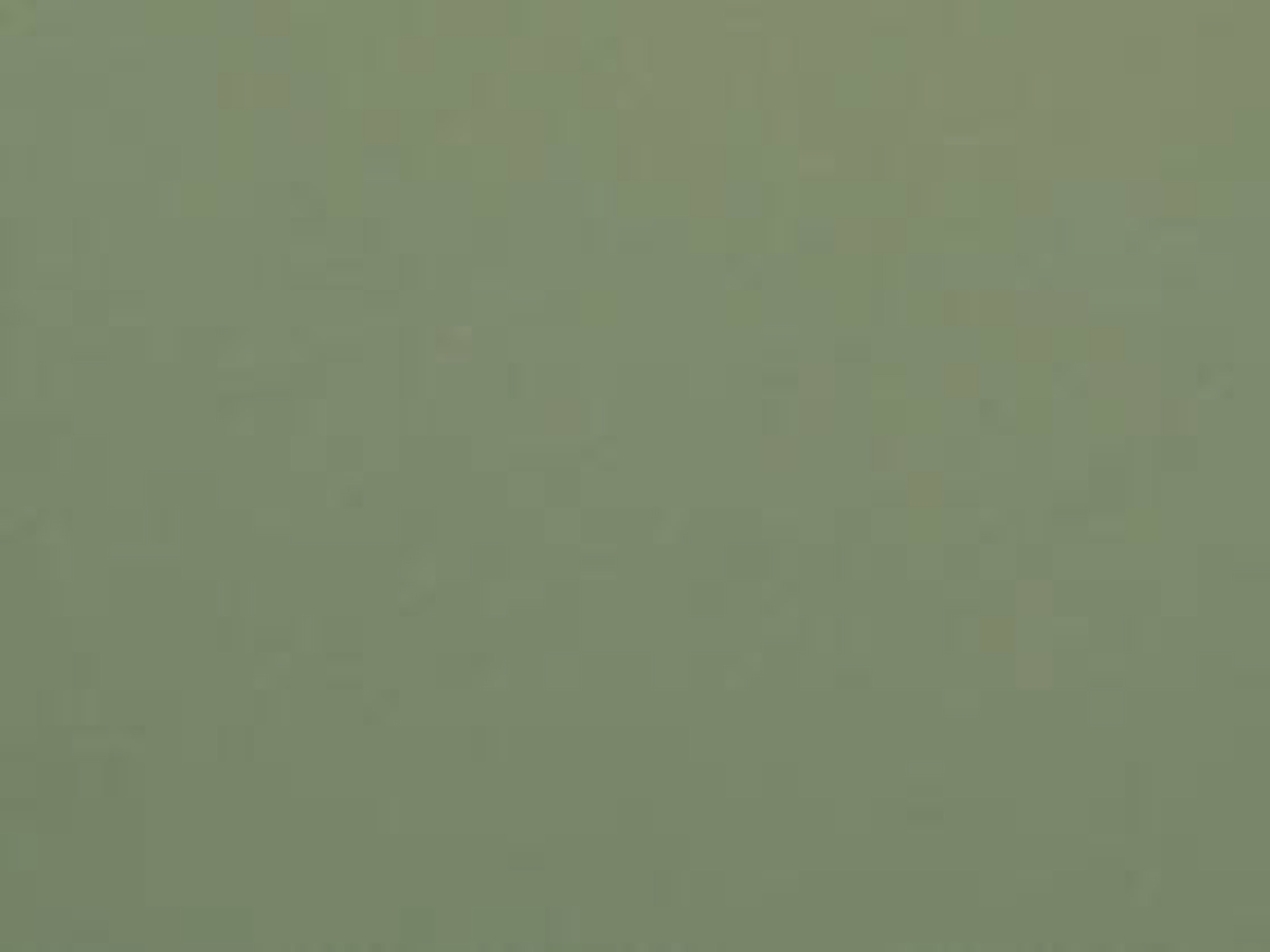 Gallery of Fiber Cement Boards - Zenor - 13