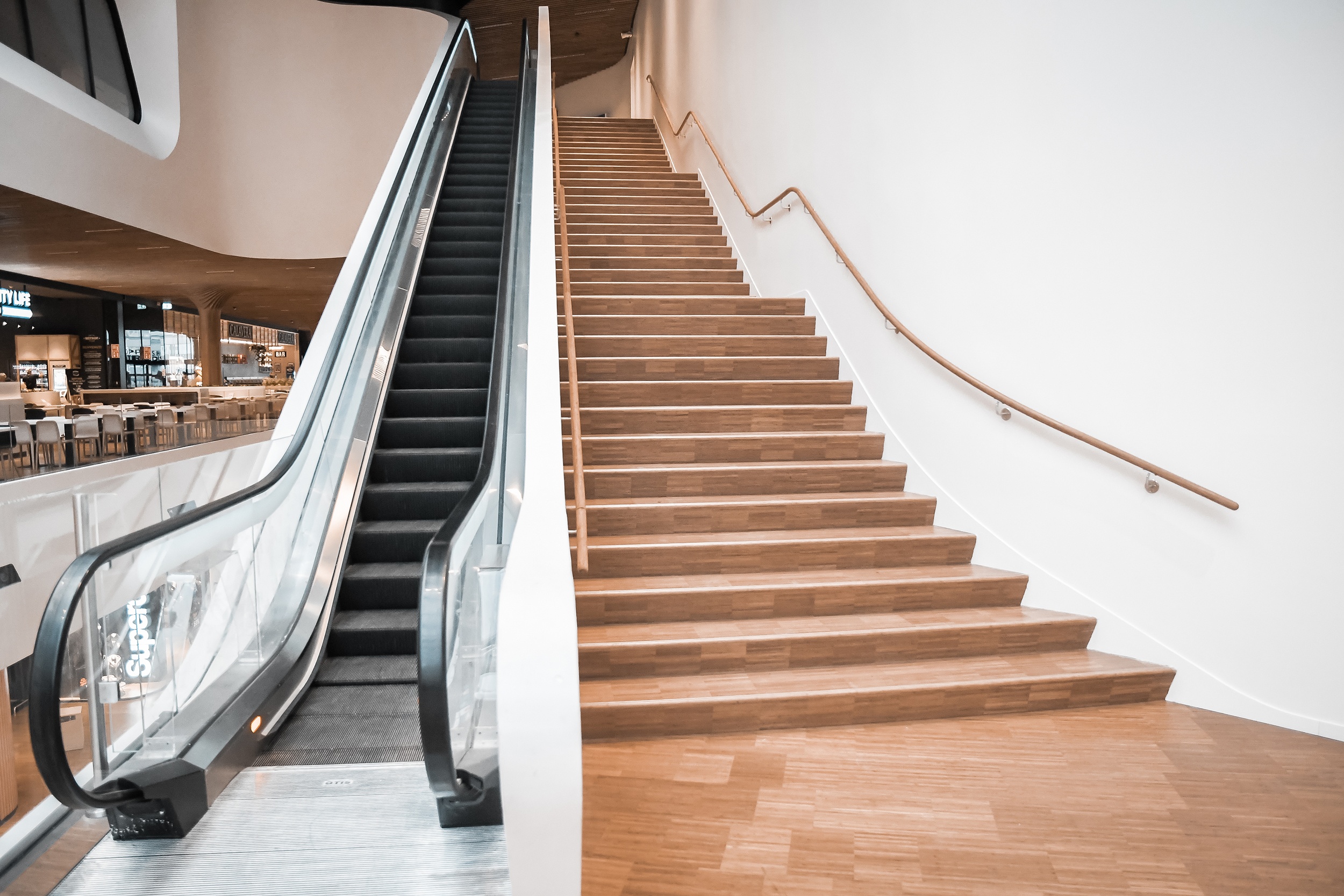 Gallery of Indoor Bamboo Solutions in Shopping Center - 5