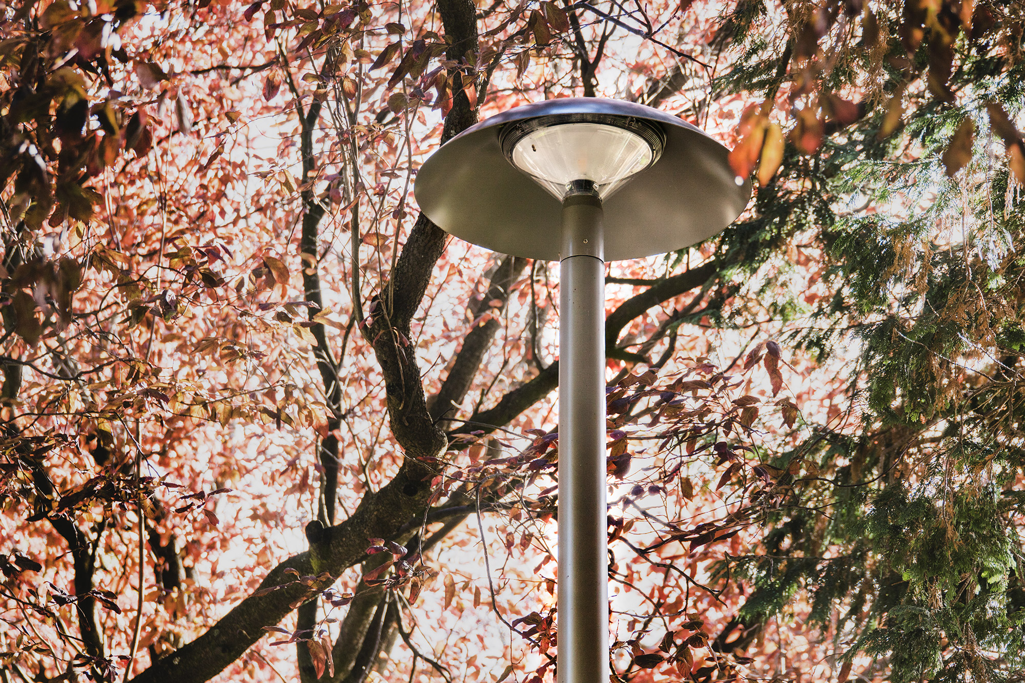 Gallery of Pole-Mounted External Luminaires - 1