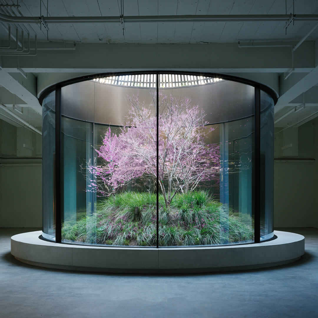 Gallery of Insulated Sliding Doors - Sky-Frame Arc - 1