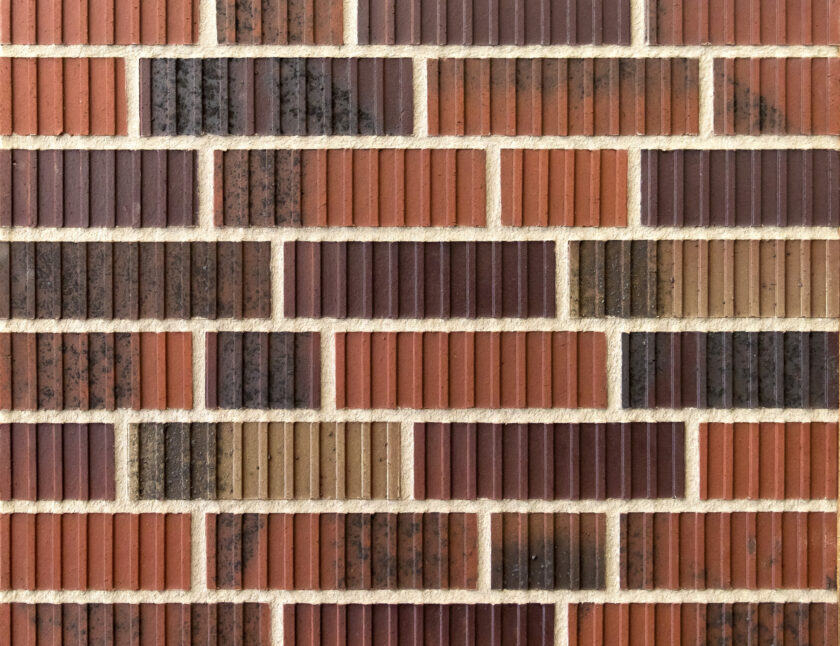 Gallery of Thin Bricks - Accent - 2