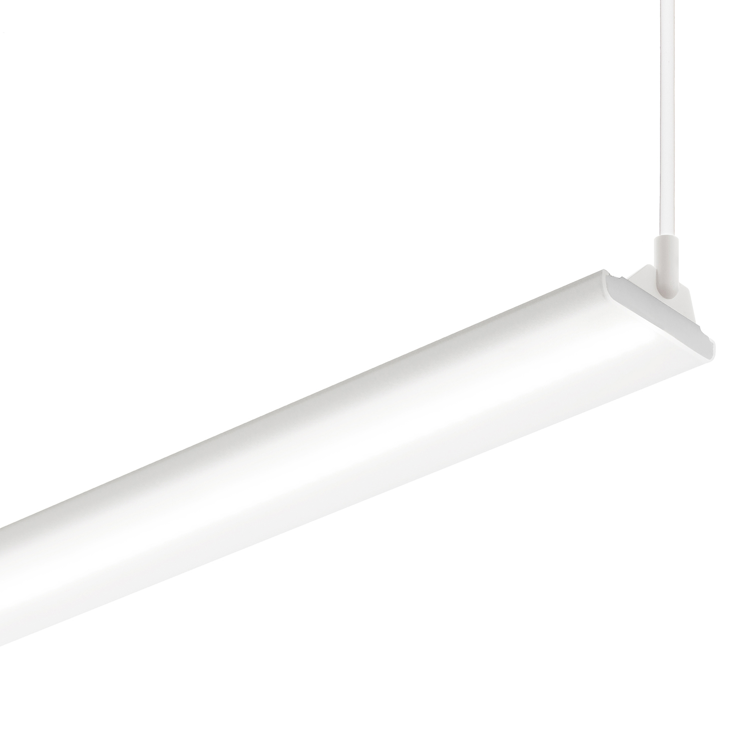 Gallery of Ceiling Cable Lighting - ZipTwo | Micro 3508 | 707 - 5