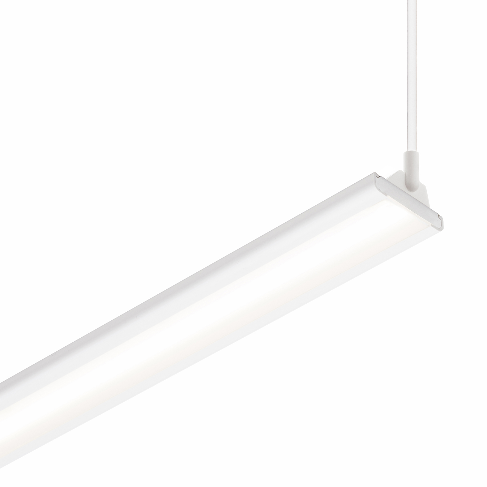 Gallery of Ceiling Cable Lighting - ZipTwo | Micro 3508 | 707 - 3