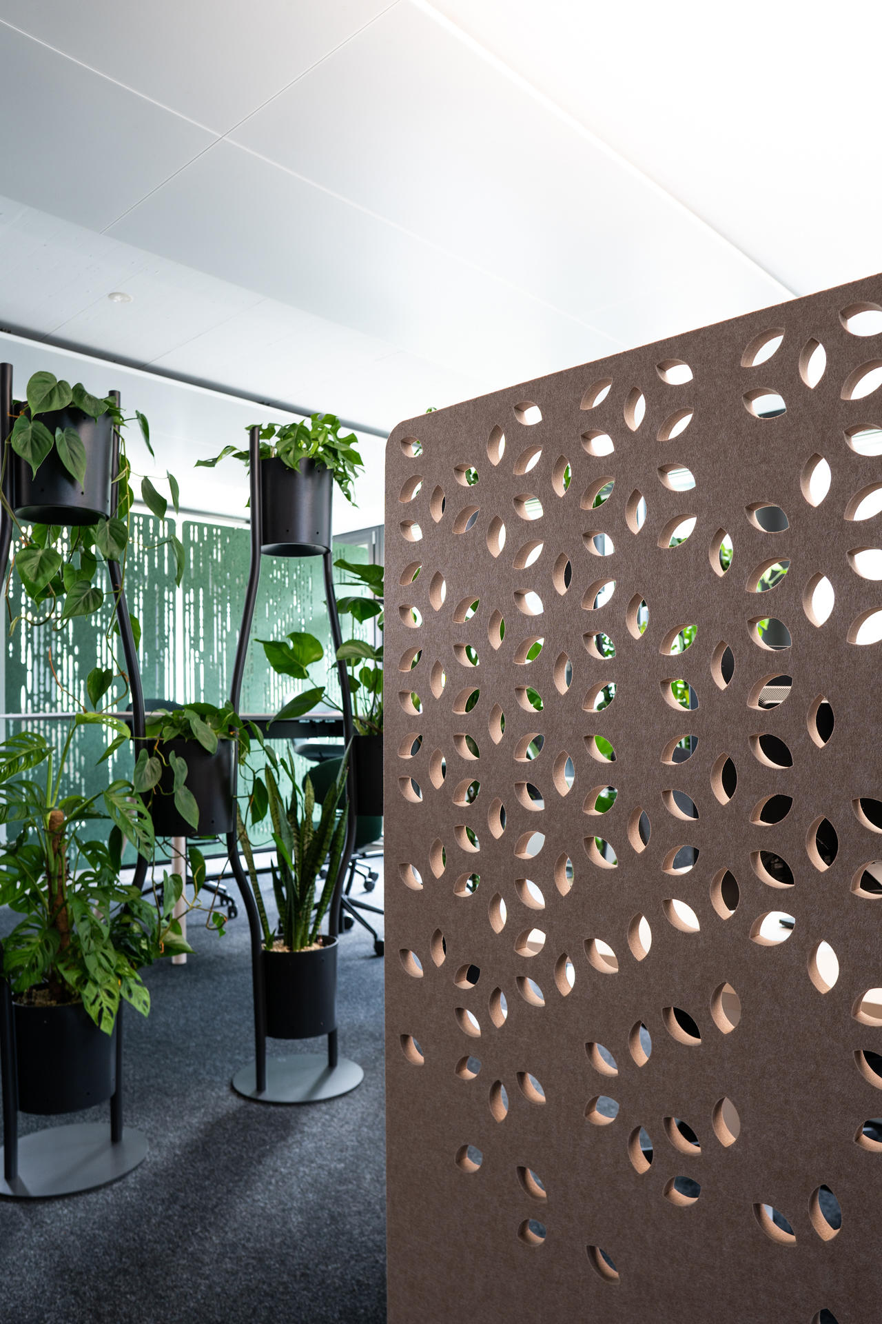 Gallery of Standing Acoustic Partition - Asto - 3
