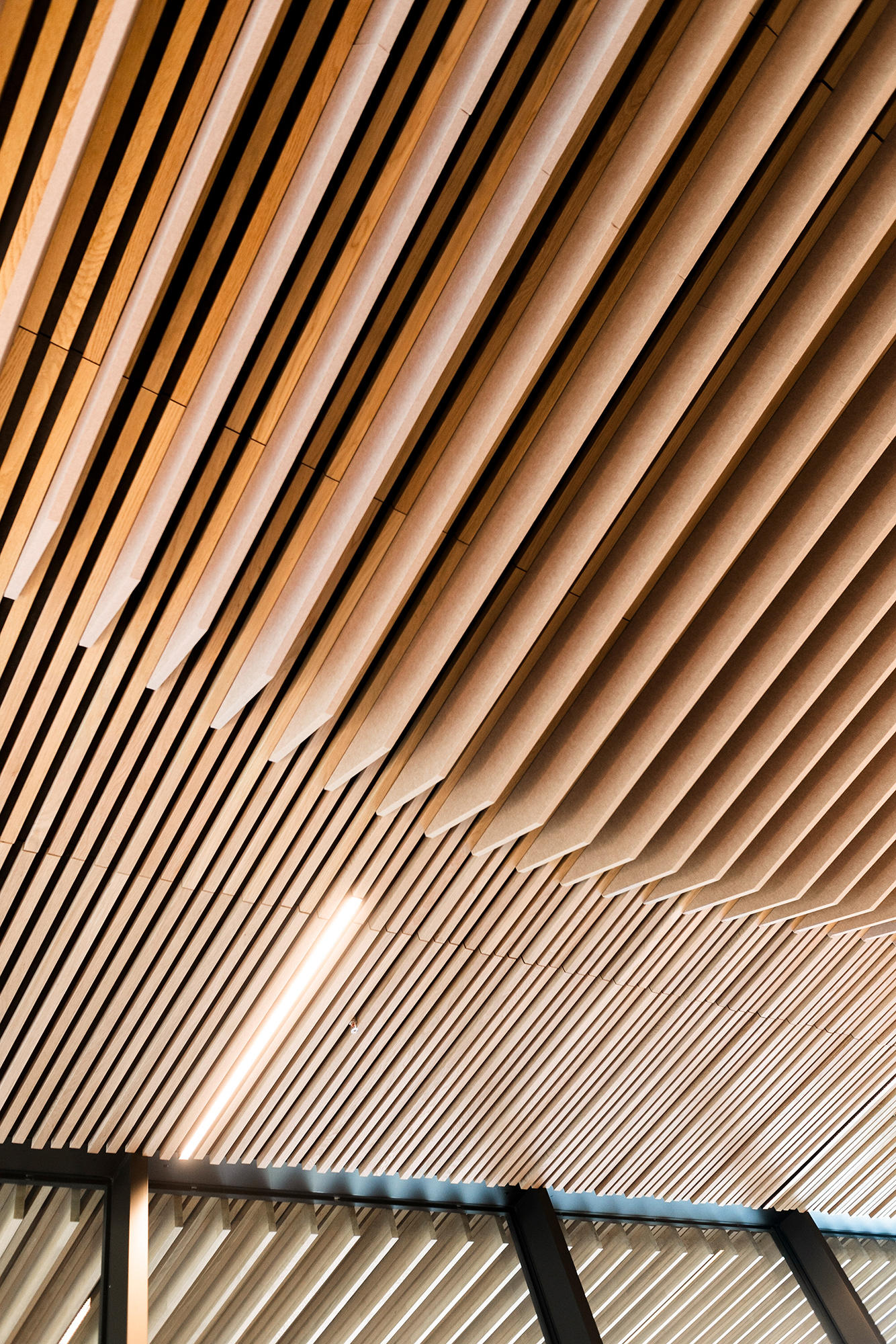 Gallery of Acoustic Lighting in Bergen City Hall - 5