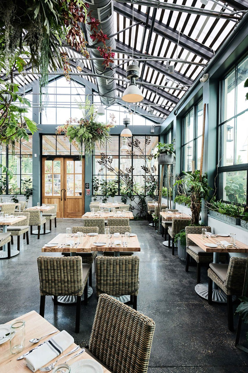 Gallery of Skylight System in Devon Yard - 2