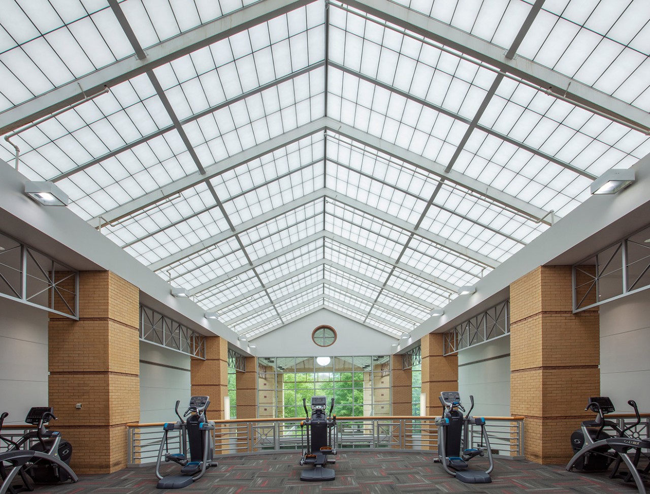 Gallery of Translucent Panel Skylights - 3