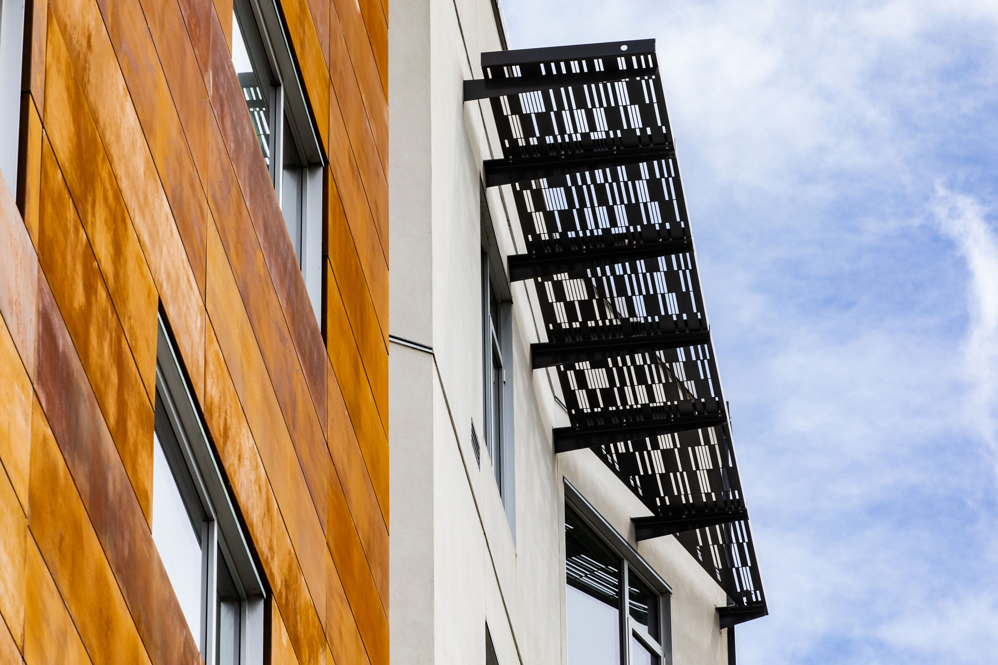 Gallery of Canopy - 3