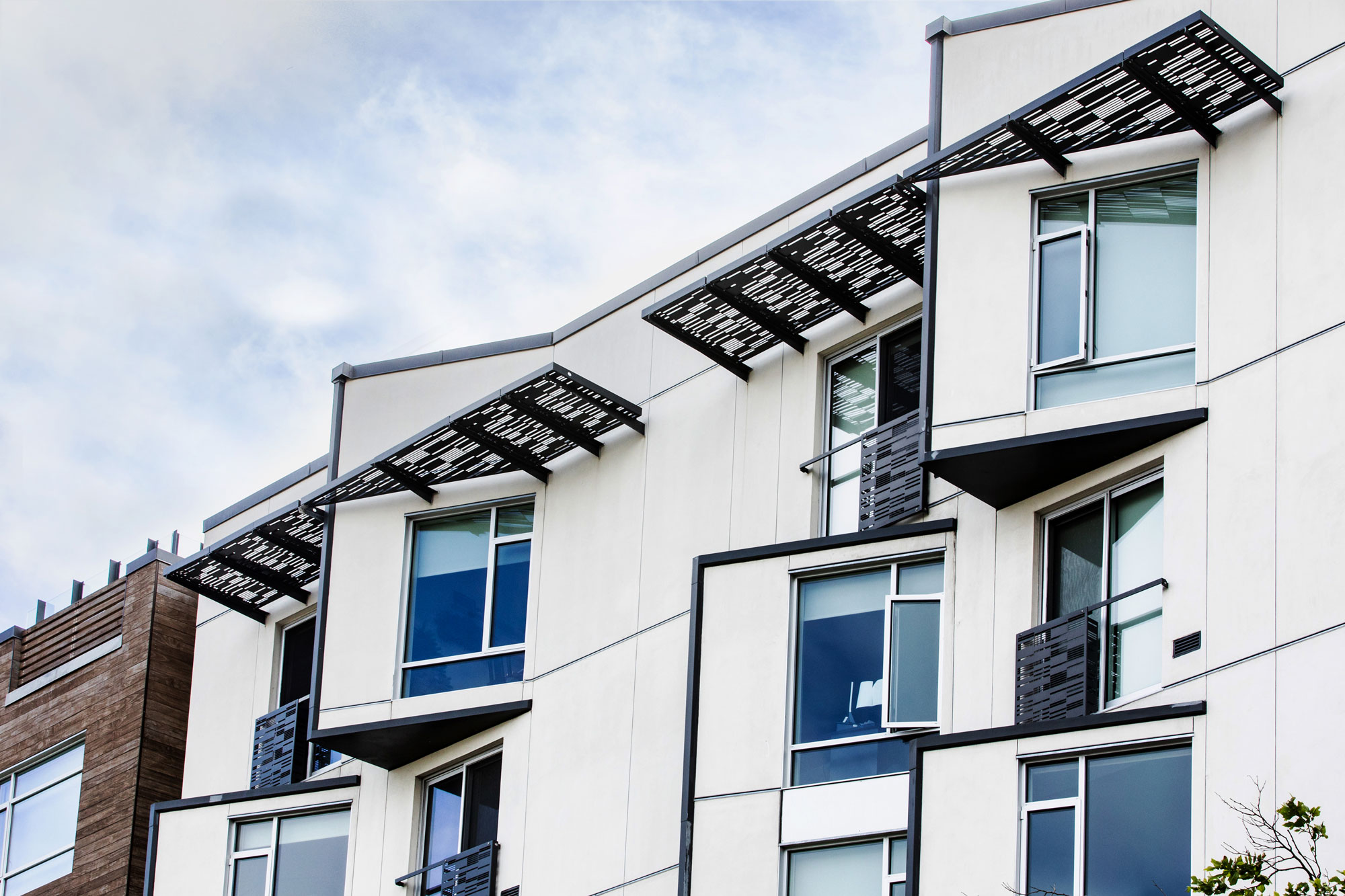 Gallery of Canopy - 7