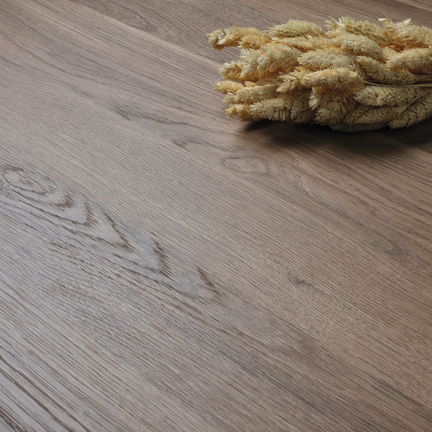 Gallery of Textures and Surfaces - 11