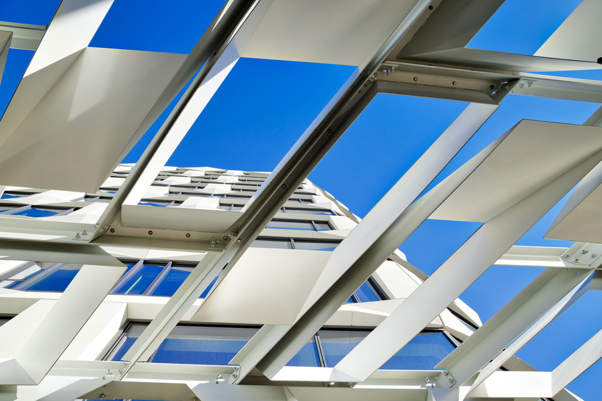 Gallery of Custom Canopy in 950 Canopy - 2