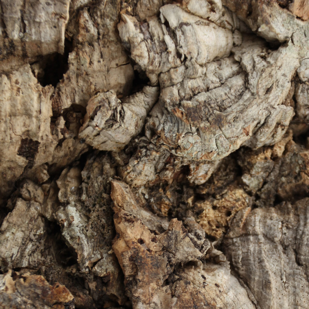 Gallery of Interior Cork Cladding - 8