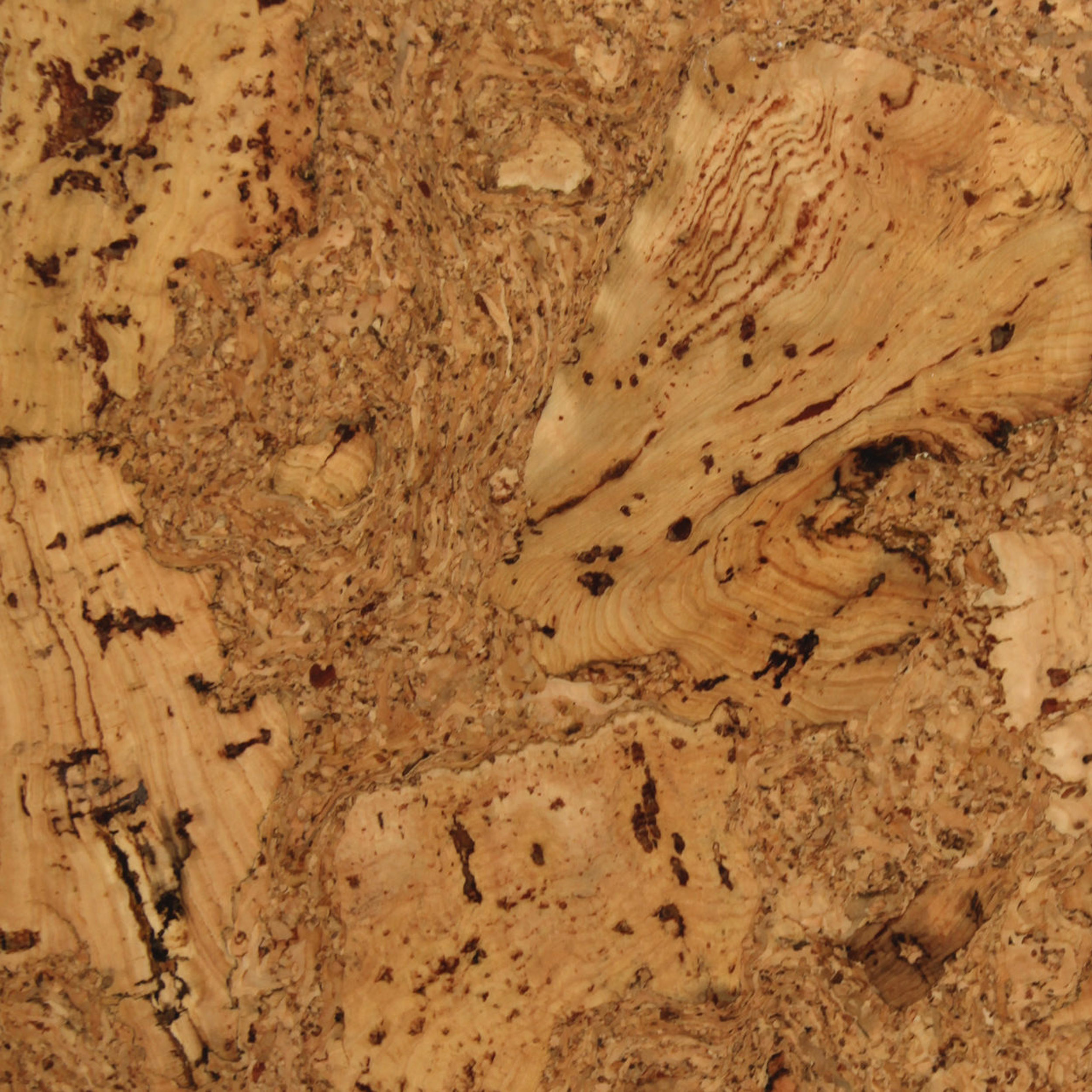 Gallery of Interior Cork Cladding - 7