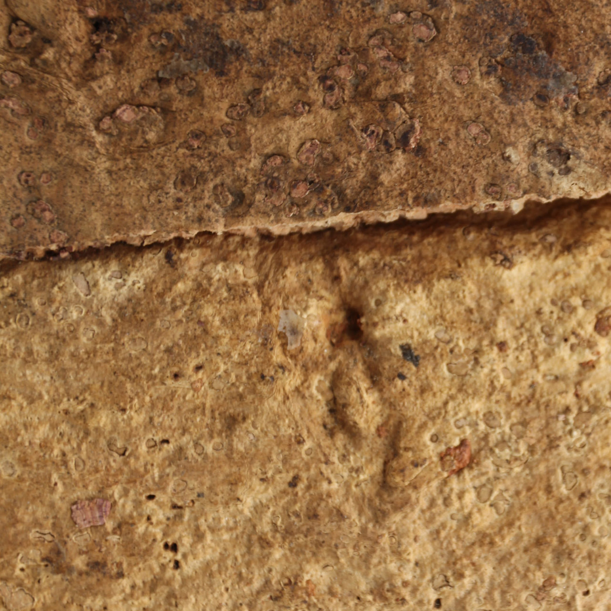 Gallery of Interior Cork Cladding - 6