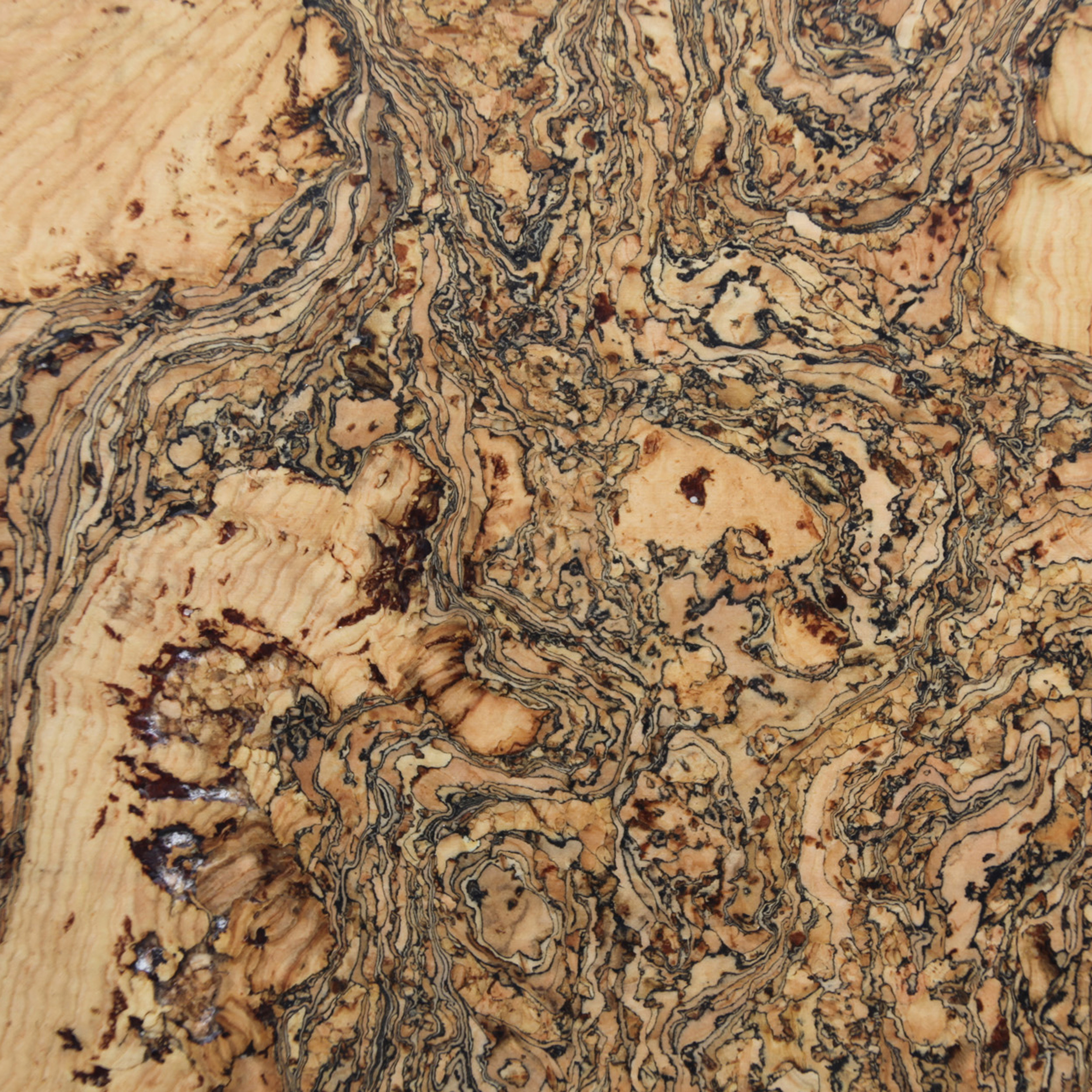 Gallery of Interior Cork Cladding - 3