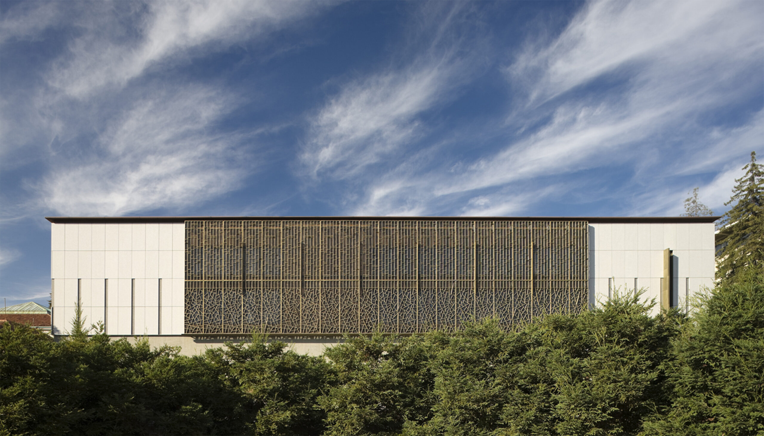 Gallery of CV Starr, East Asian Library - 1