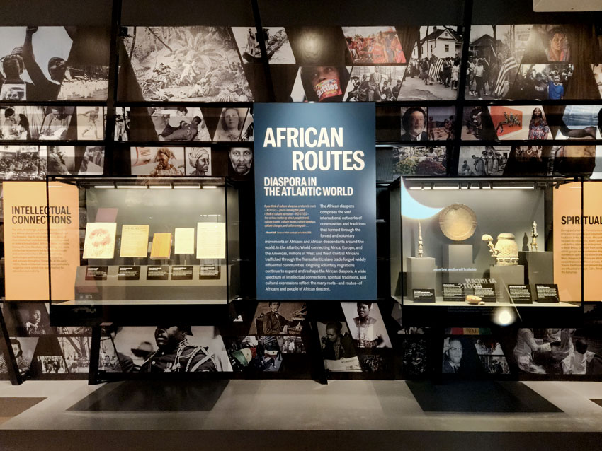 Gallery of Display Cases in History Museum - 2