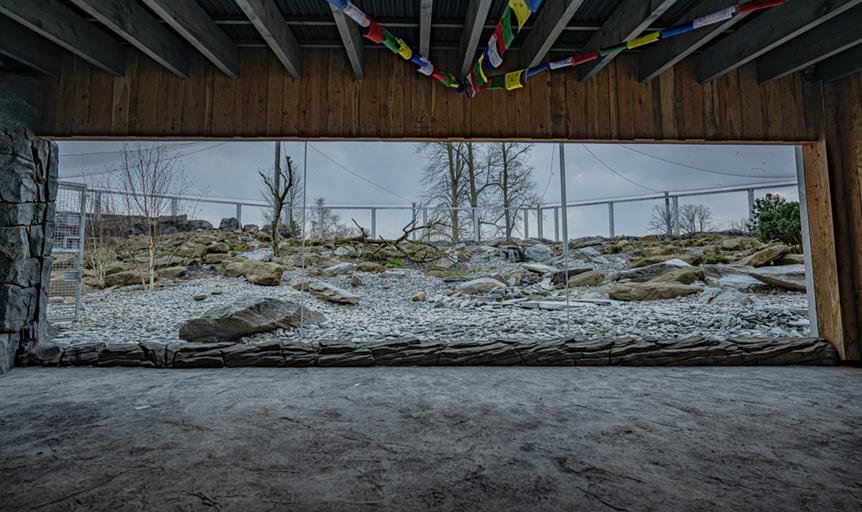 Gallery of Snow Leopard Enclosure, Chester Zoo, UK - 1