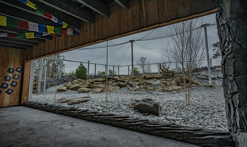 Gallery of Snow Leopard Enclosure, Chester Zoo, UK - 2