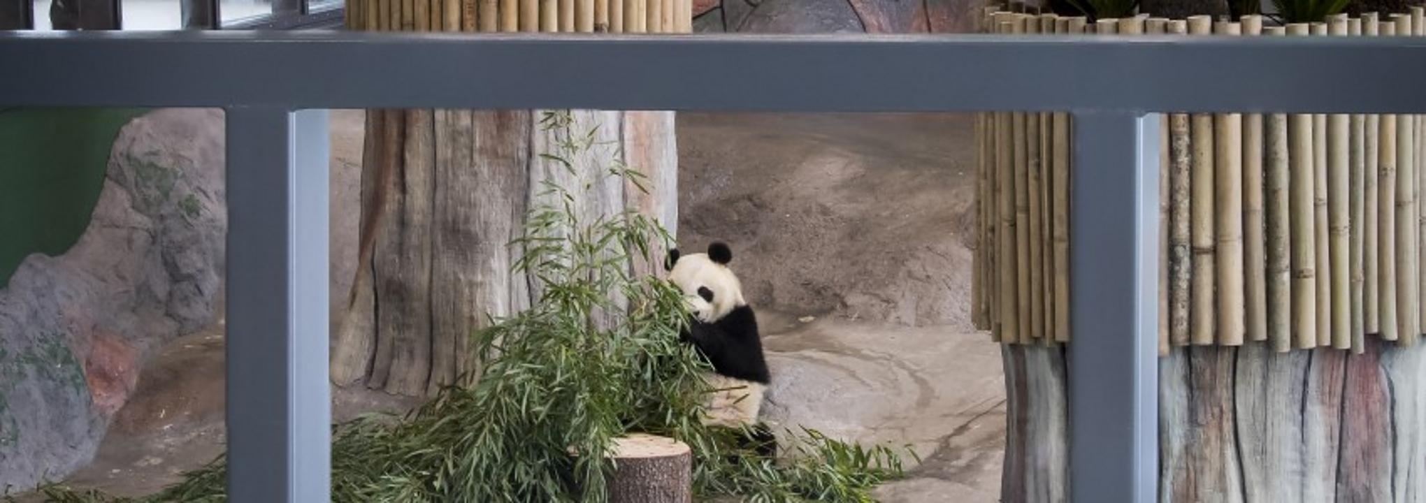 Anti-Reflective Glass - Pilkington OptiView™ Ultra from Pilkington