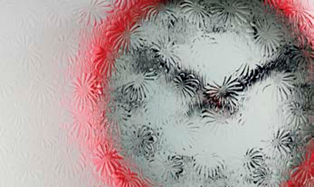 Gallery of Privacy Glass - Pilkington Texture Glass - 27