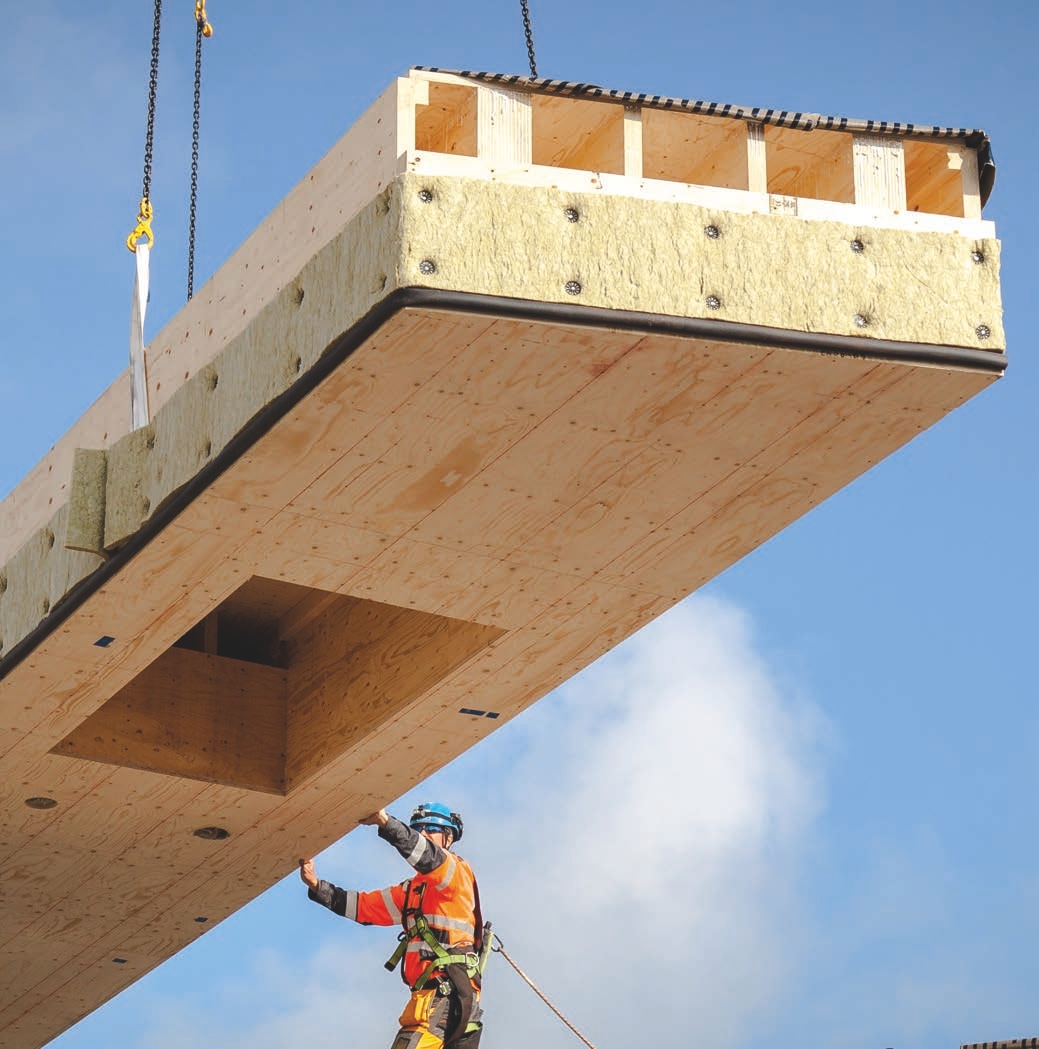 Gallery of Laminated Veneer Lumber (LVL) - 13