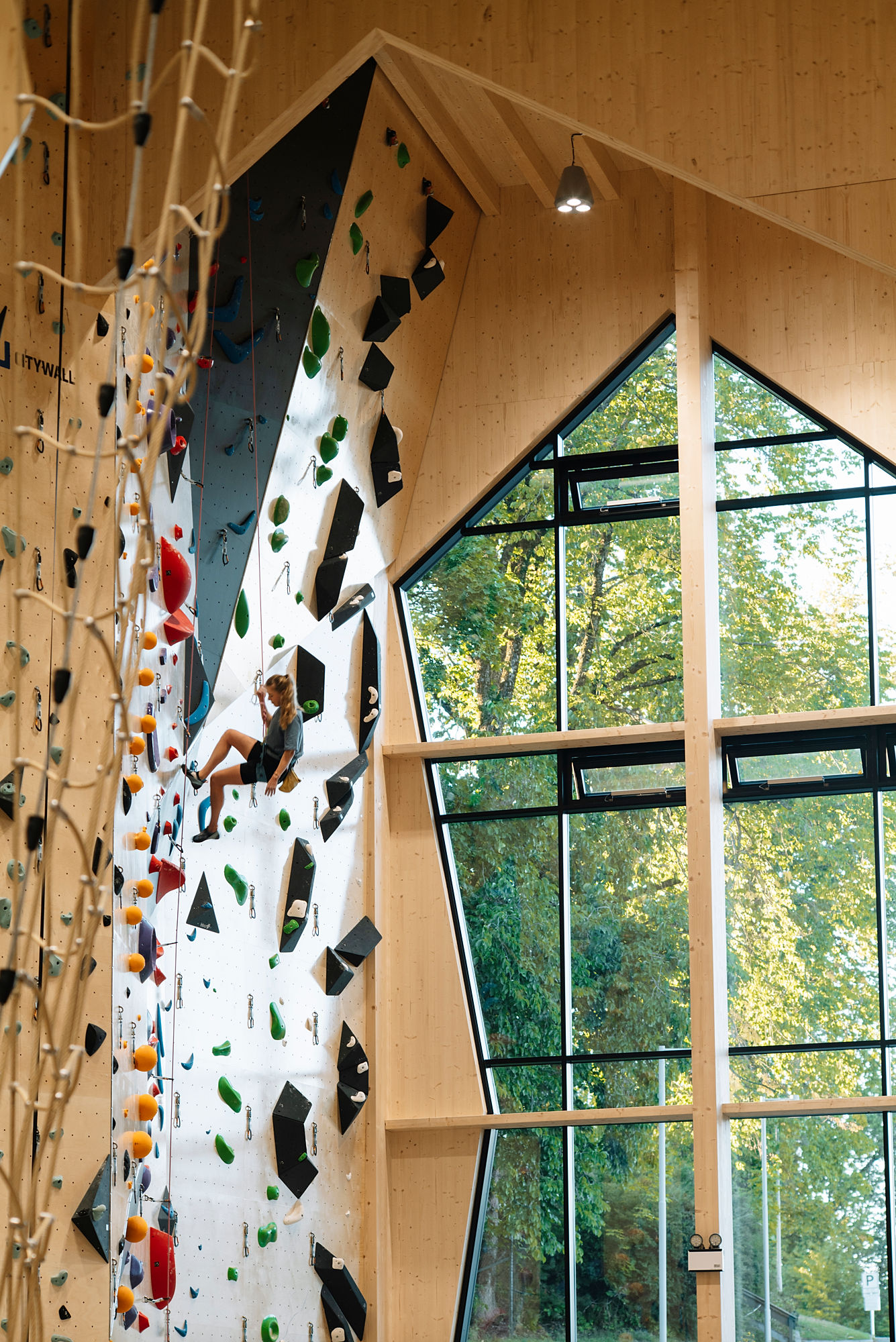 Gallery of Sylva™ CLT and LVL Rib - 3