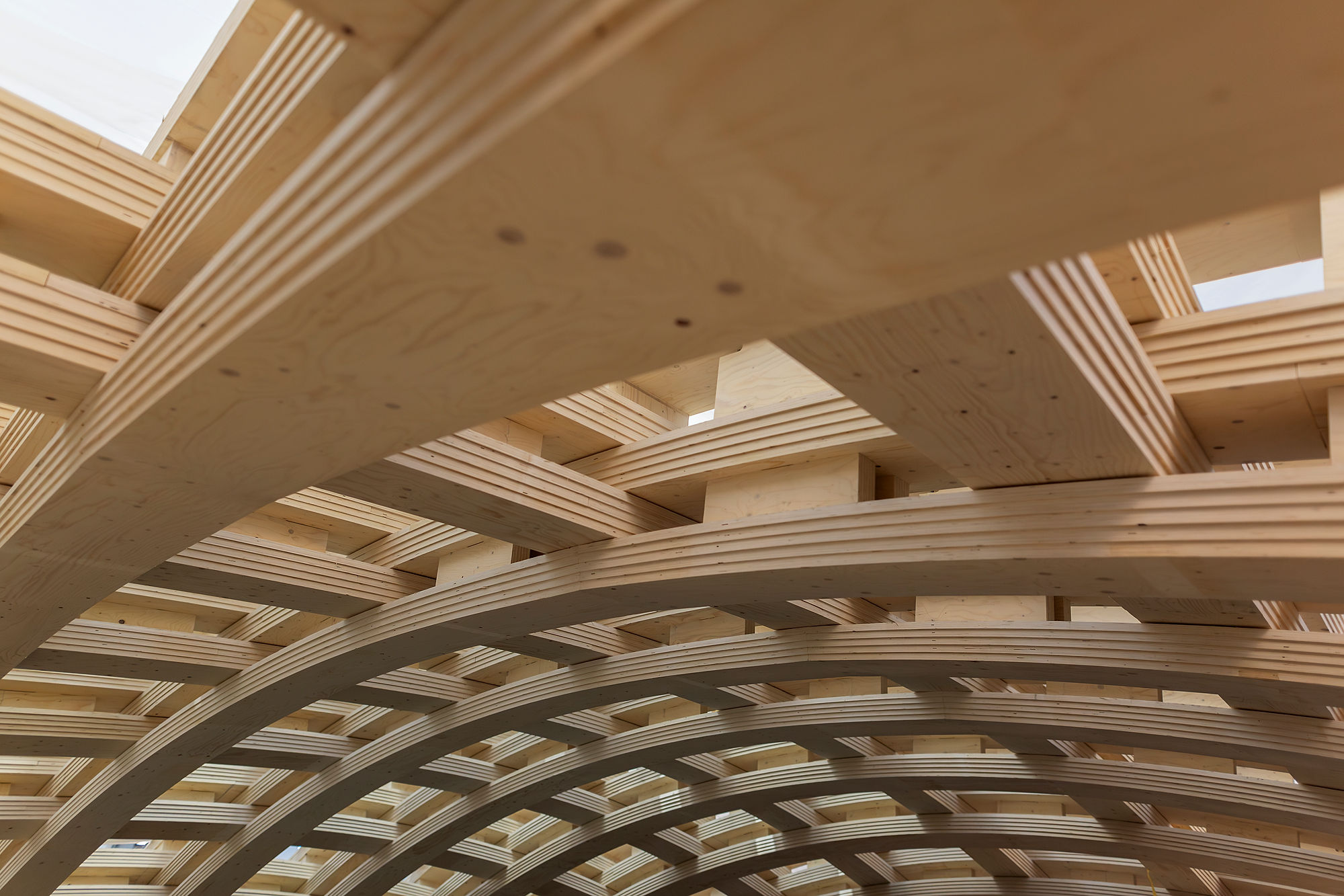 Gallery of Laminated Veneer Lumber (LVL) - 5