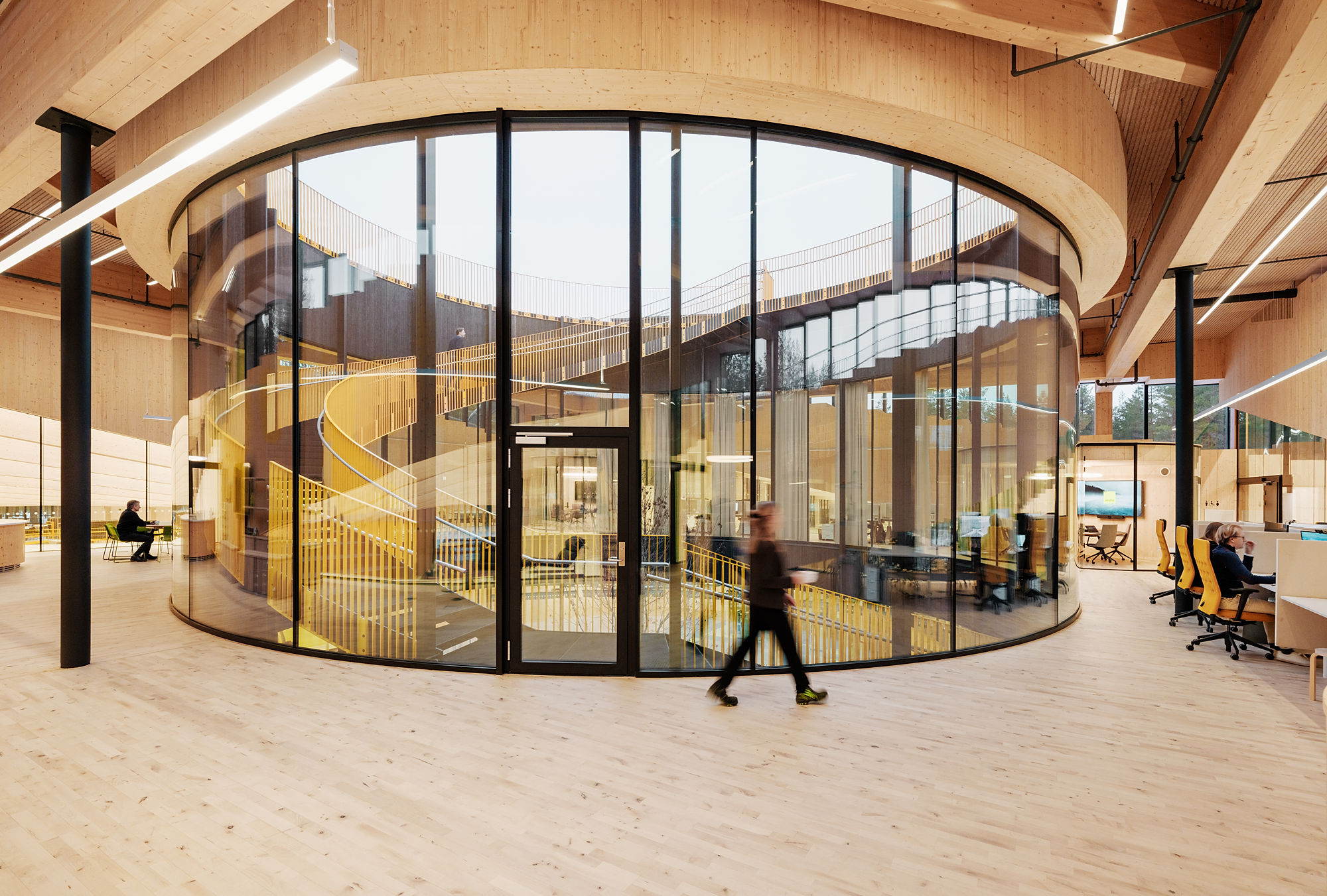 Gallery of Sylva™ CLT Floors and Roofs - 6