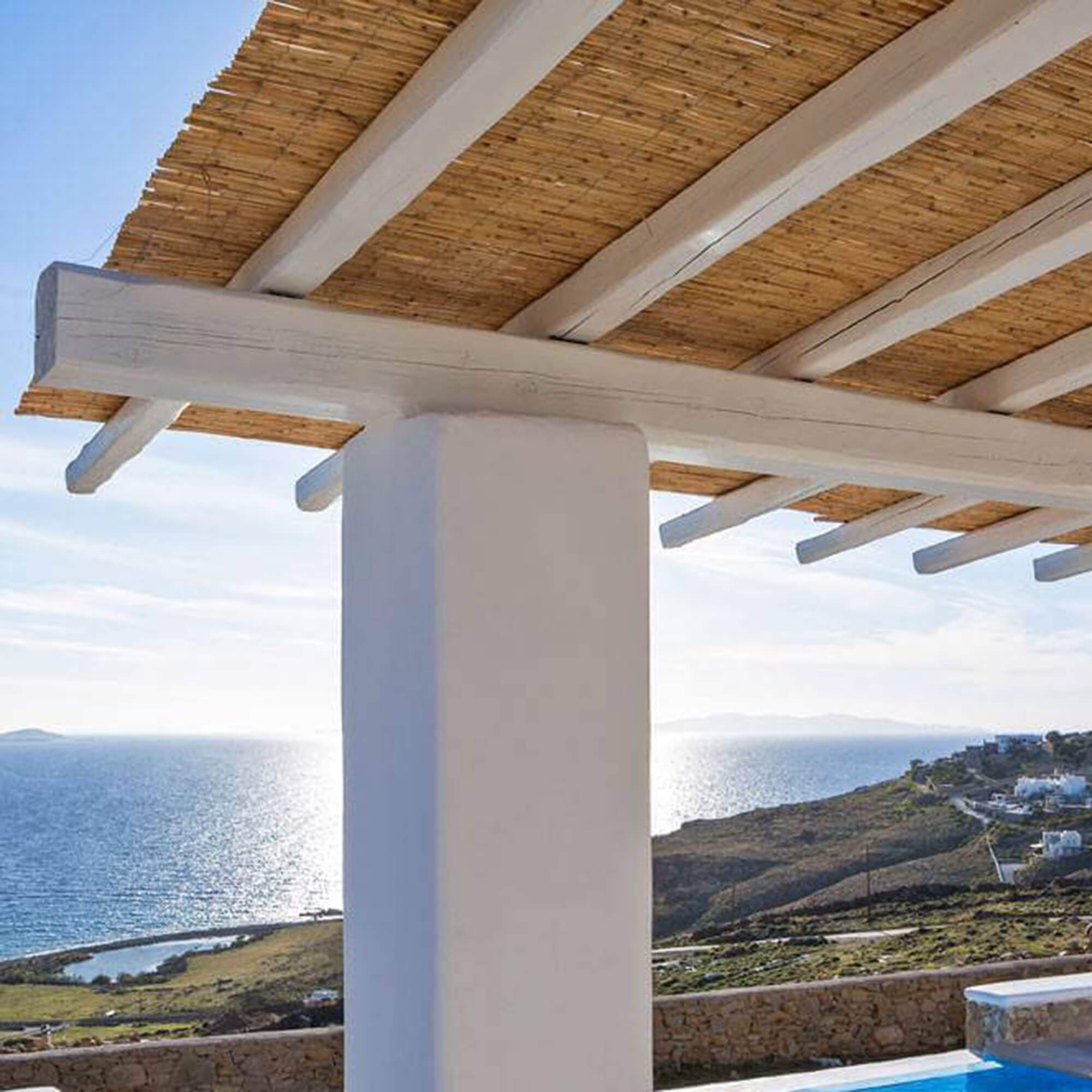 Gallery of Natural Materials - Reeds - 1