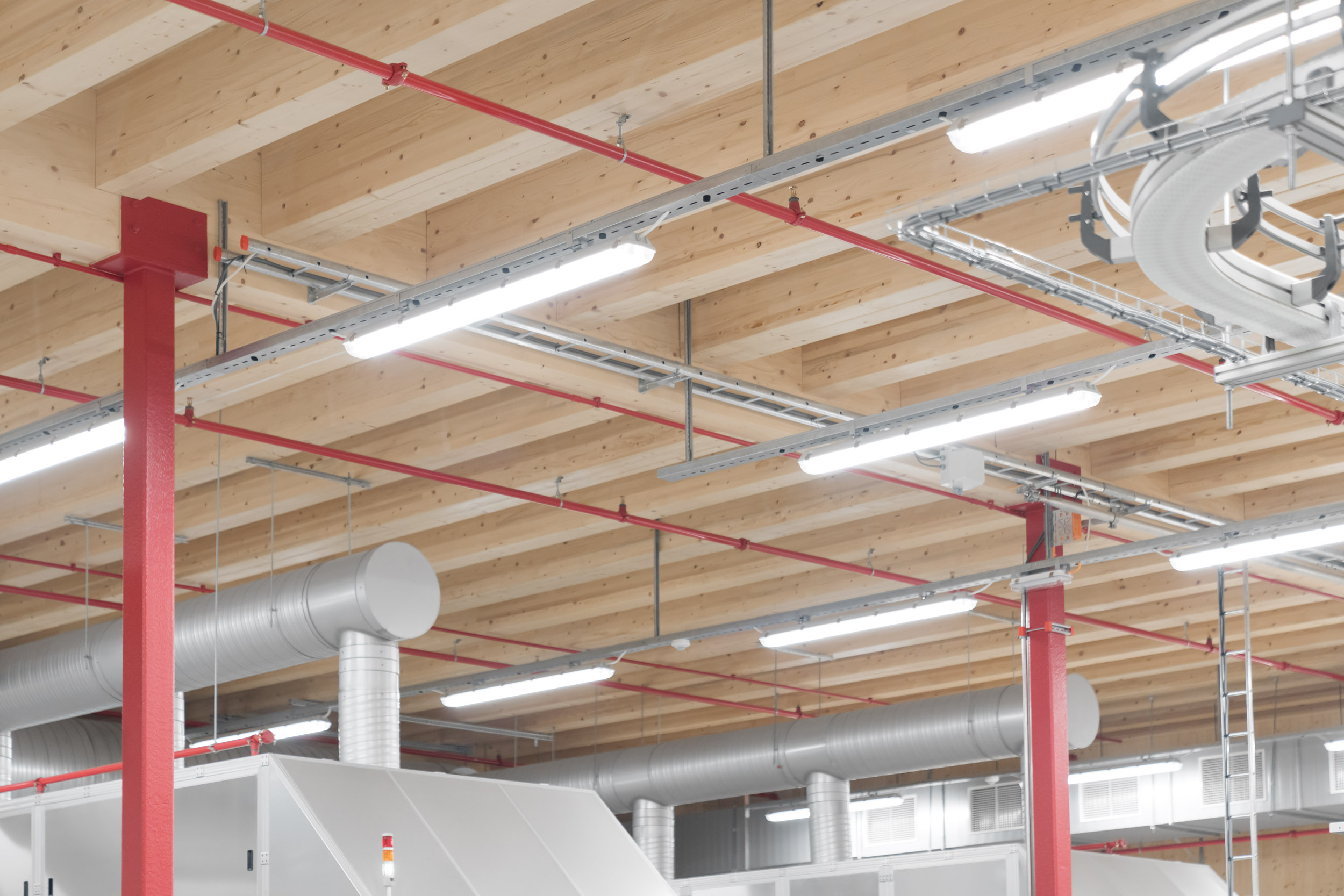 Gallery of Sylva™ CLT and LVL Rib - 5