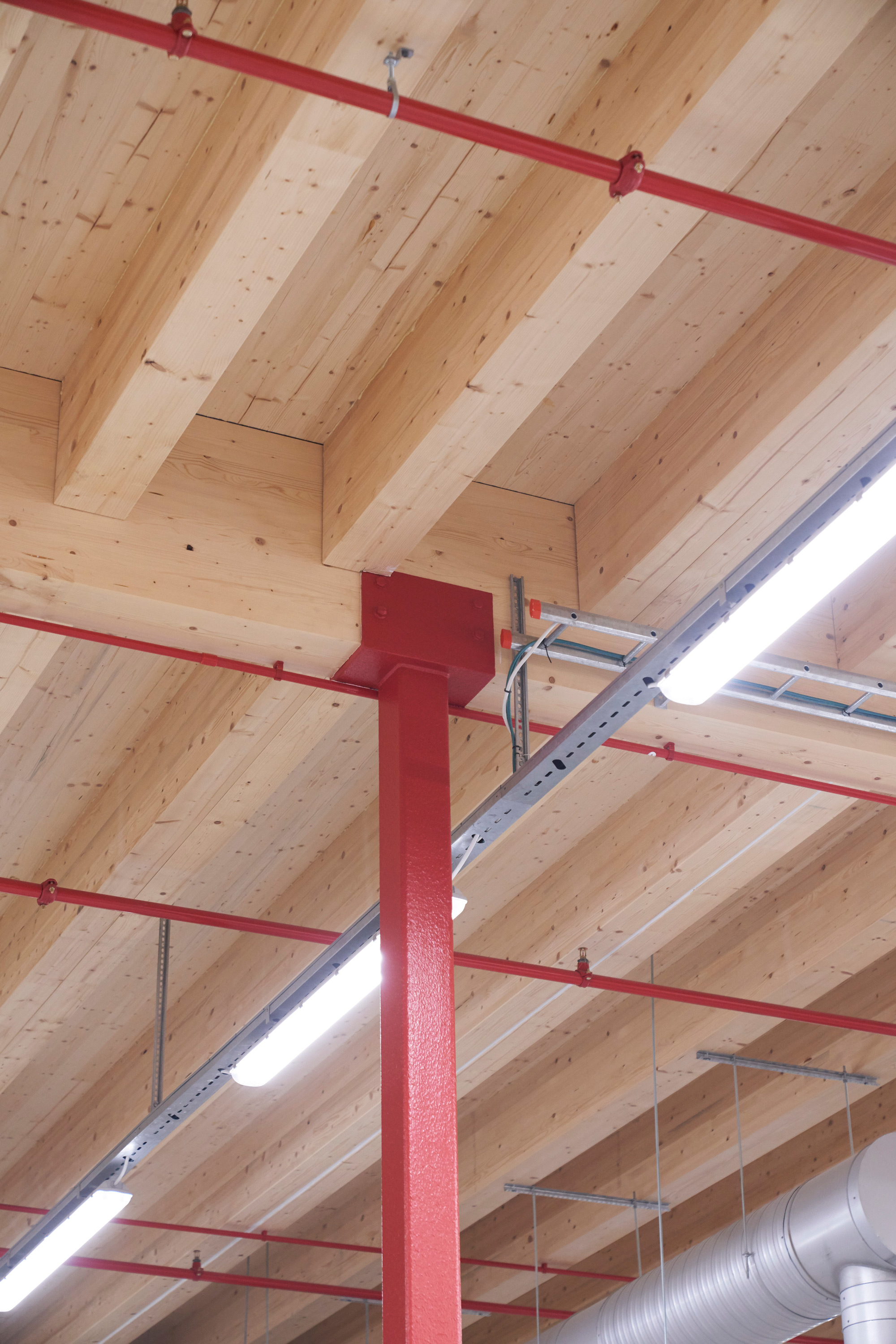 Gallery of Sylva™ CLT and LVL Rib - 4