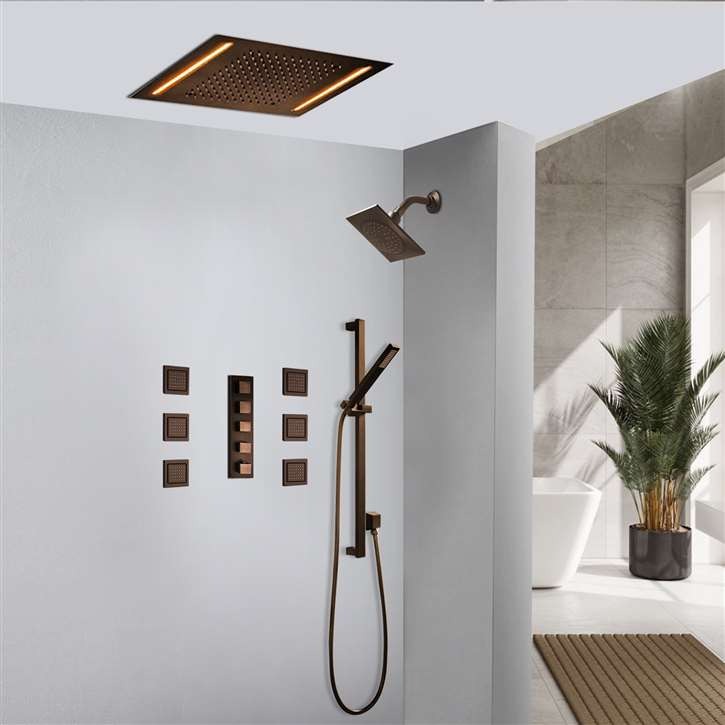 Gallery of Dual Shower Systems - 3