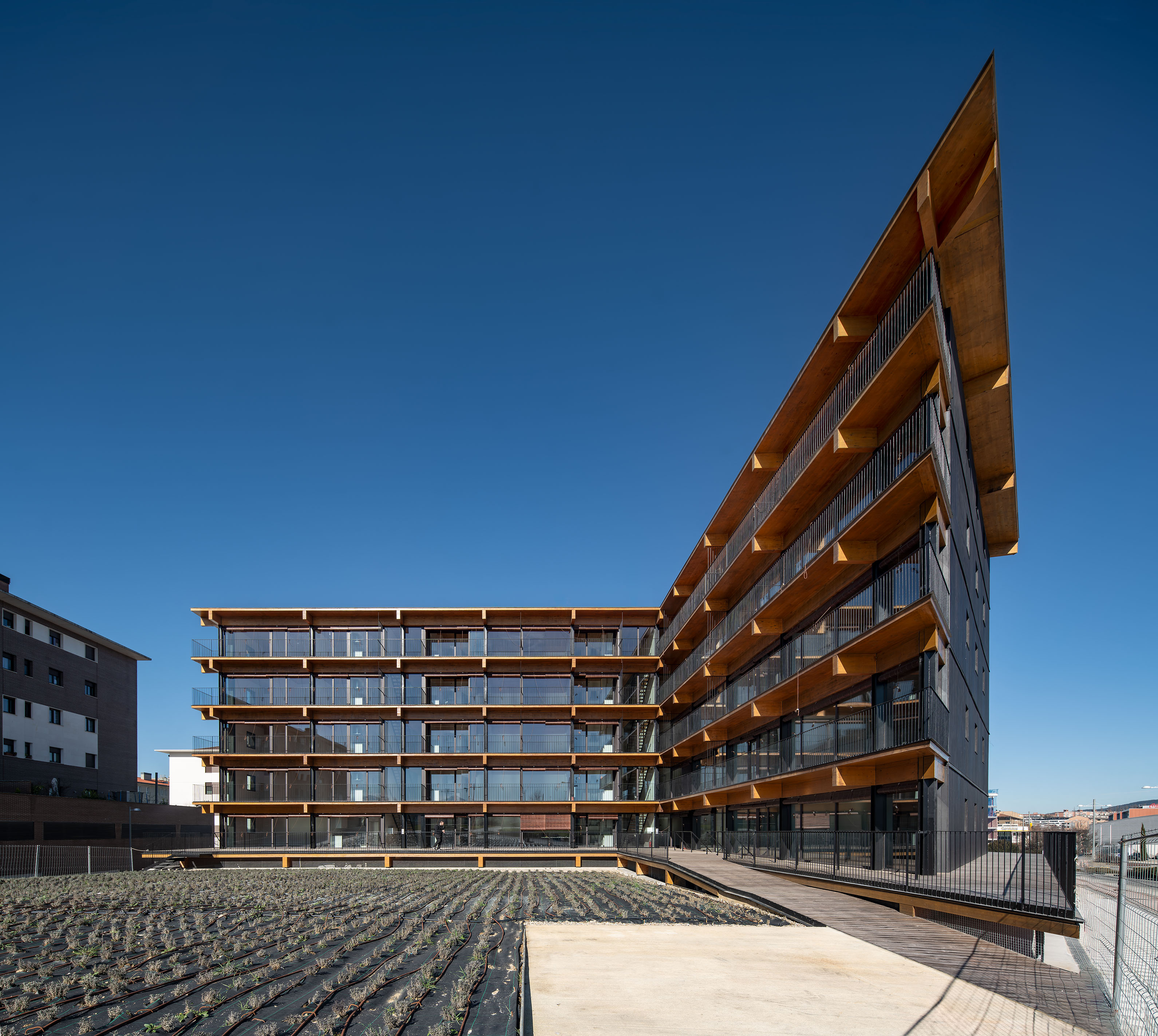 Gallery of Cross Laminated Timber - CLT - 8
