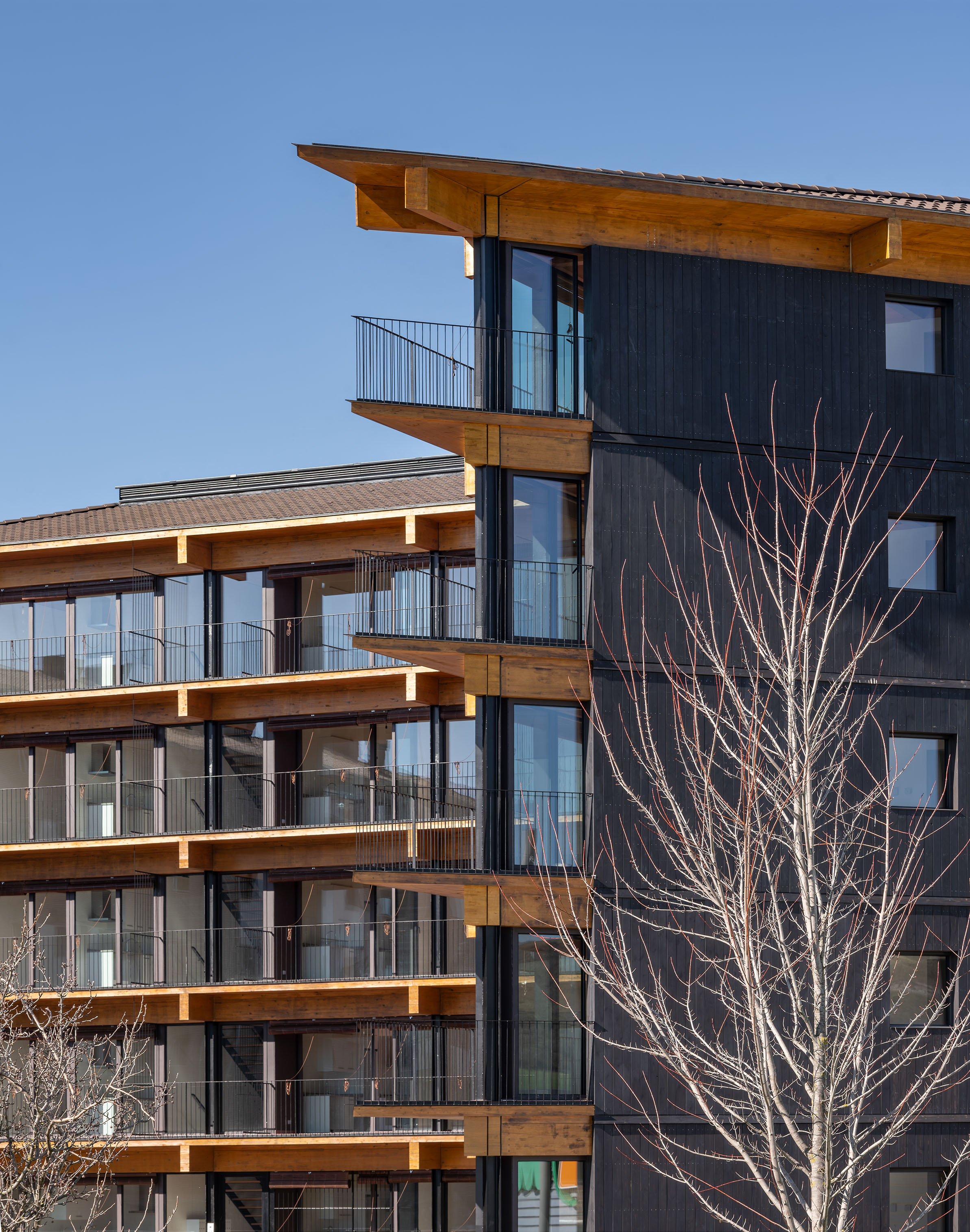 Gallery of Cross Laminated Timber - CLT - 7