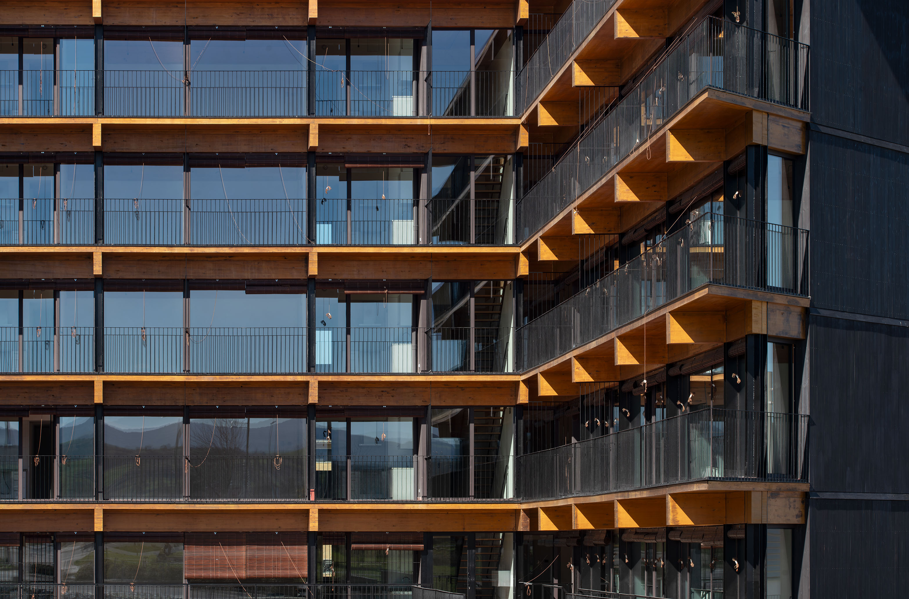 Cross Laminated Timber - CLT from Egoin