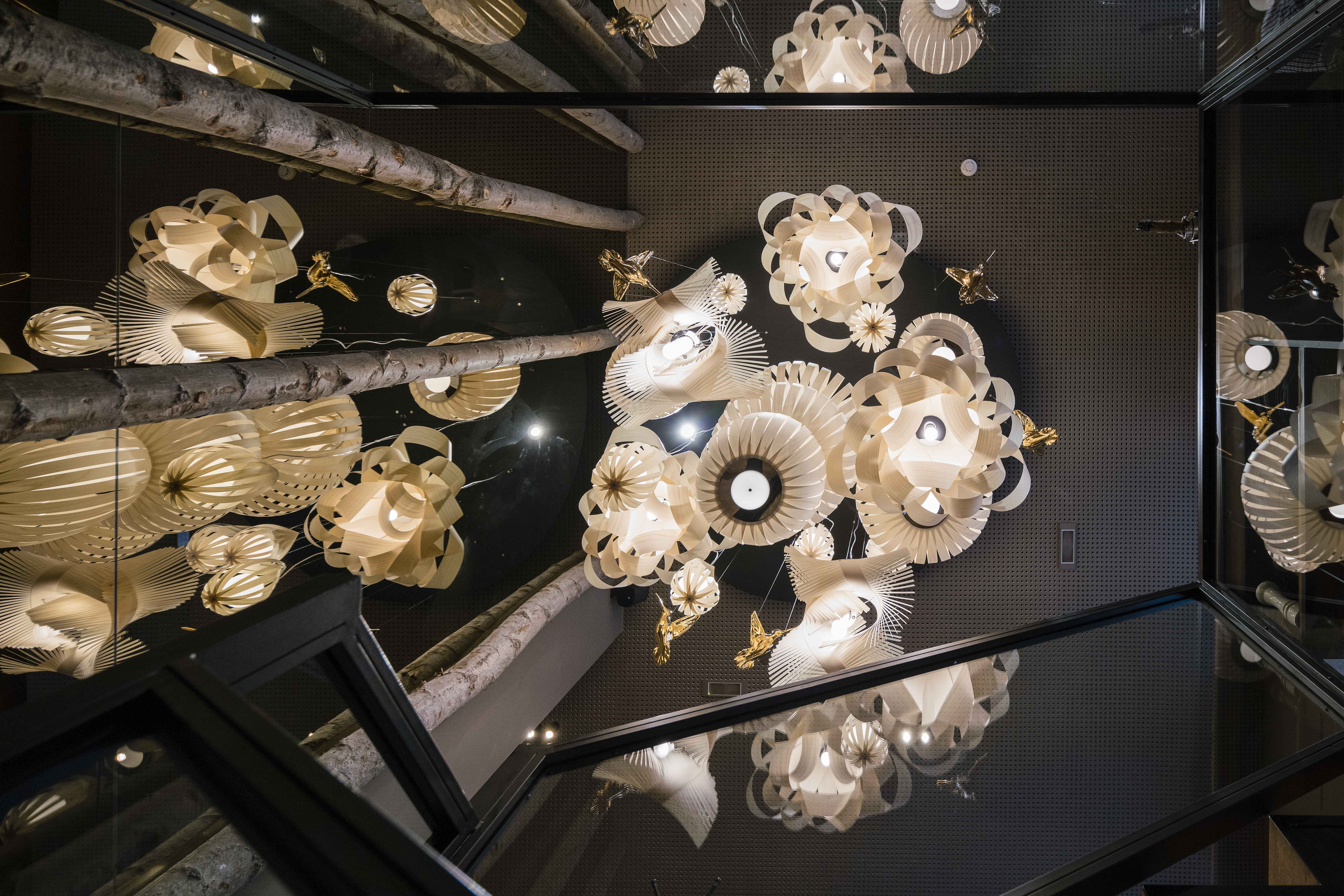 Gallery of Ambient Lighting for Alameda Restaurant - 7