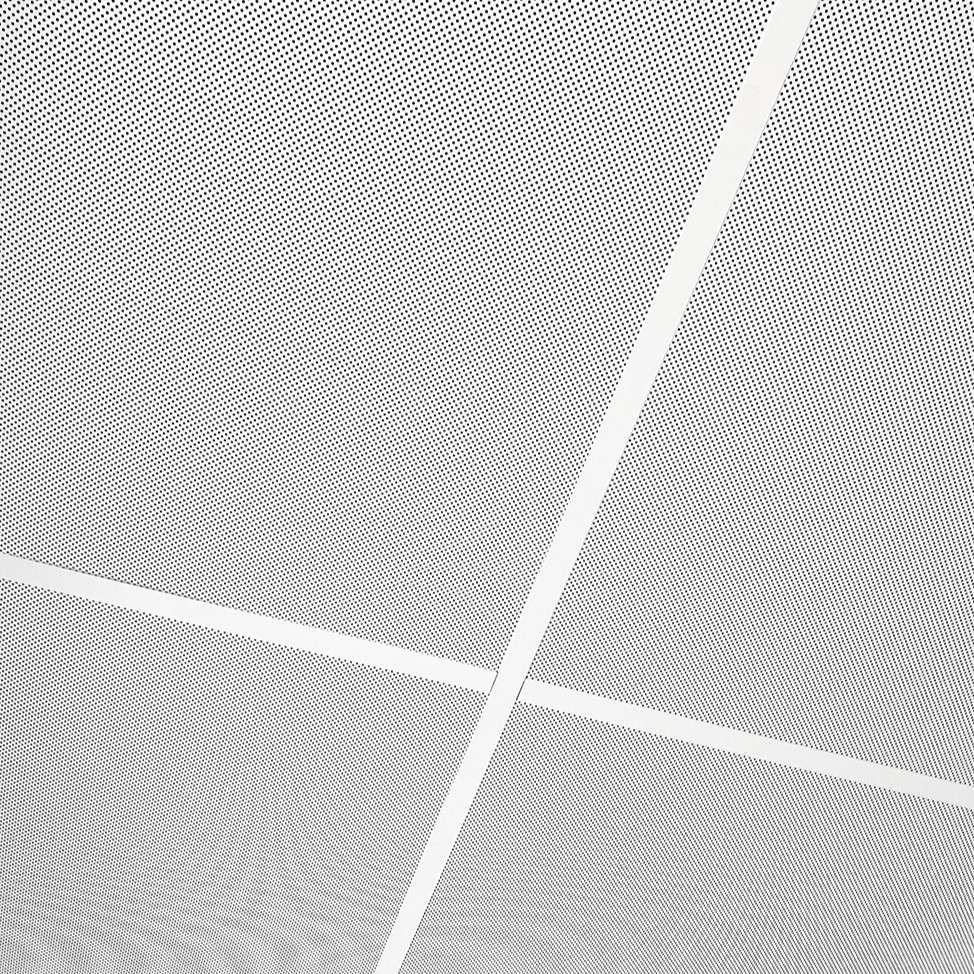 Ceiling Tiles | Lay-In Tile from DAMPA