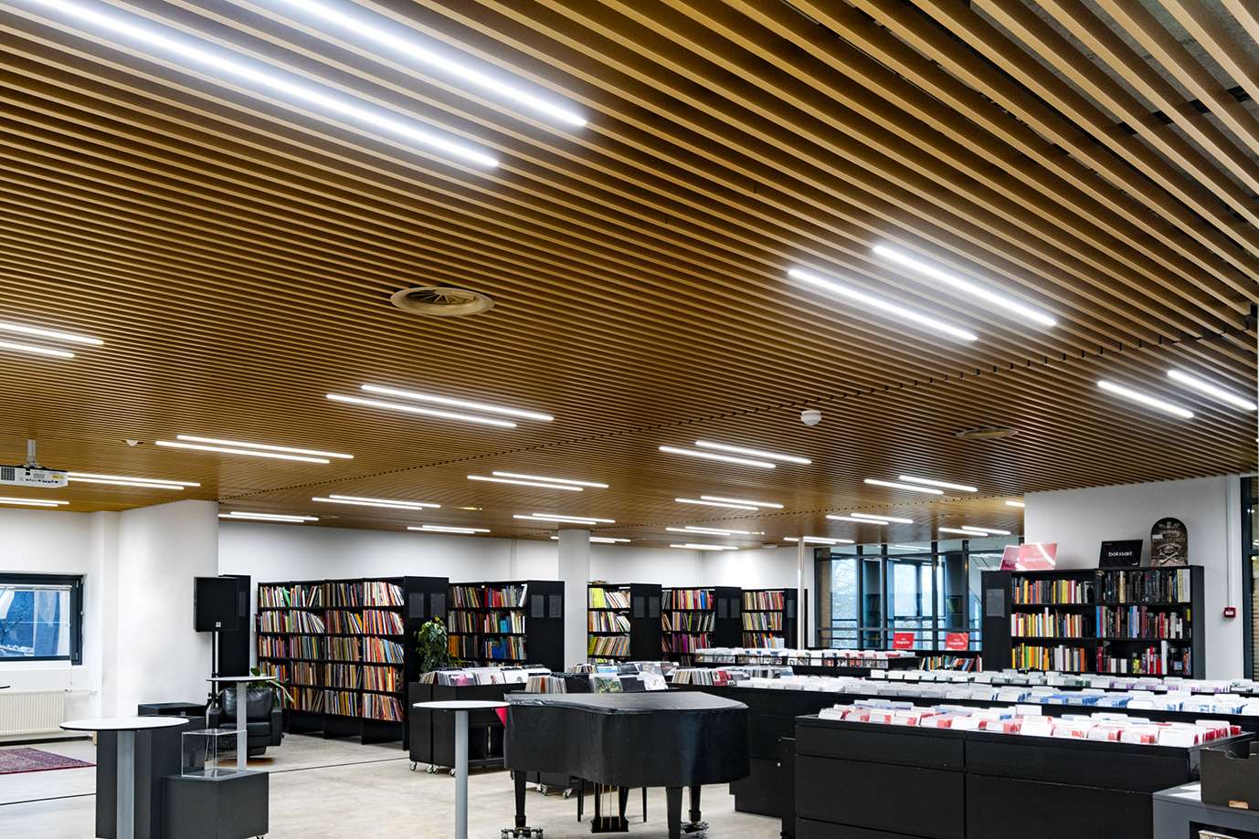 Gallery of Ceiling Lamella - 19