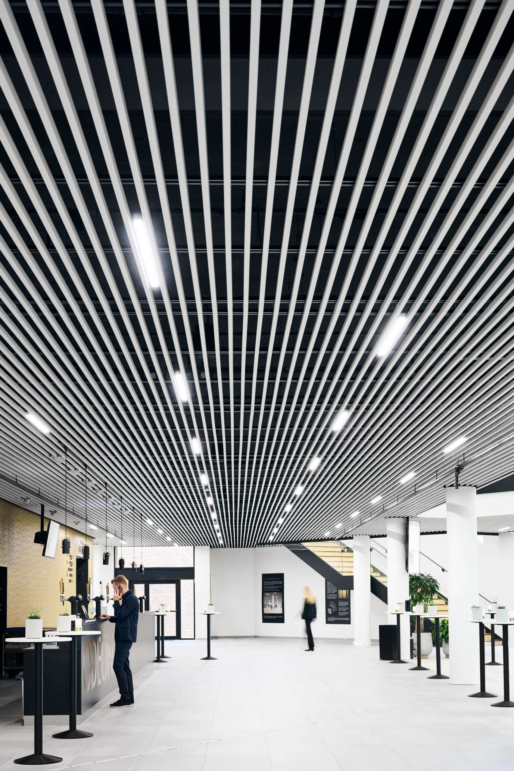 Gallery of Ceiling Lamella - 9